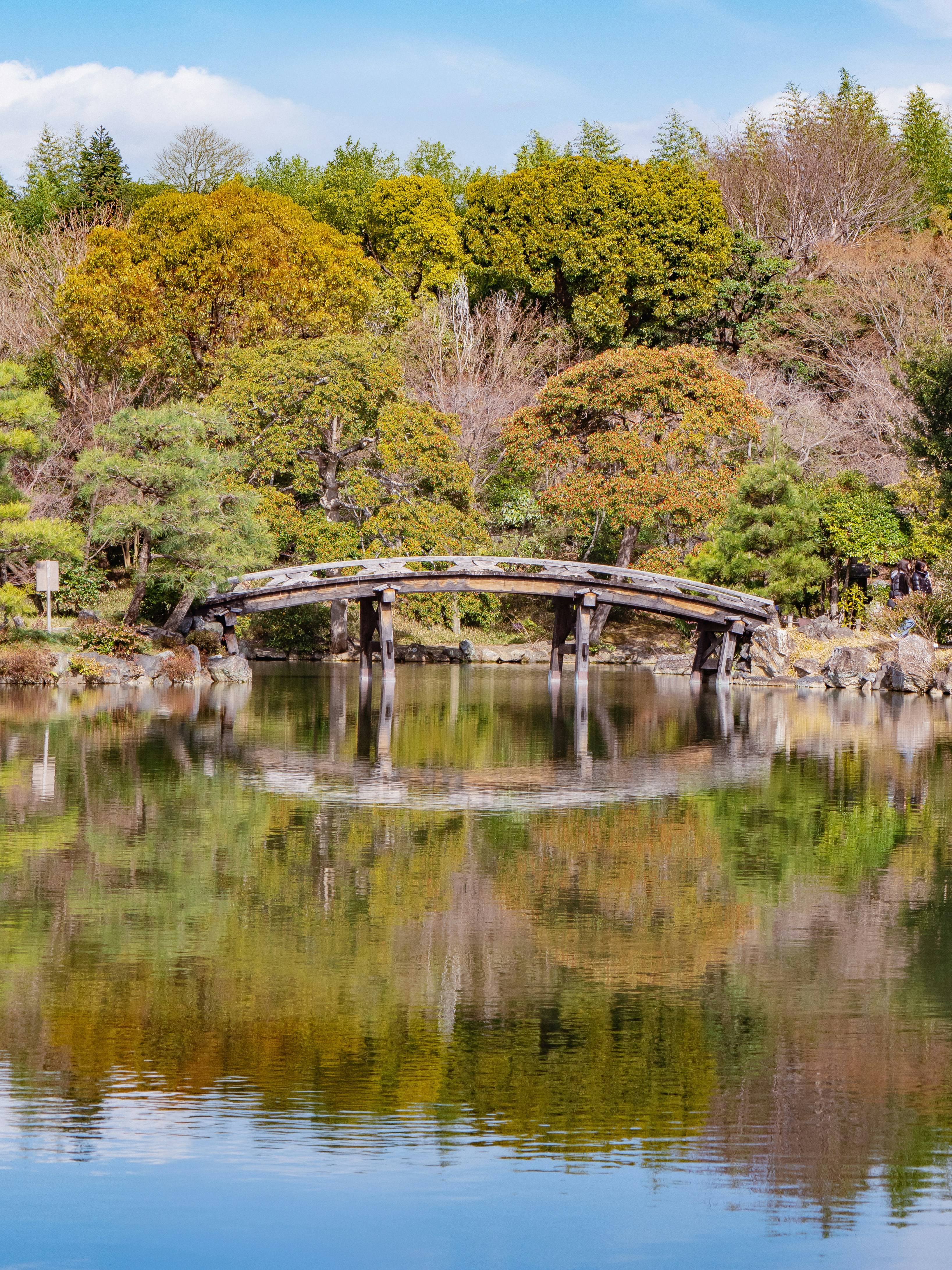 Serenity on the Wooden Bridge