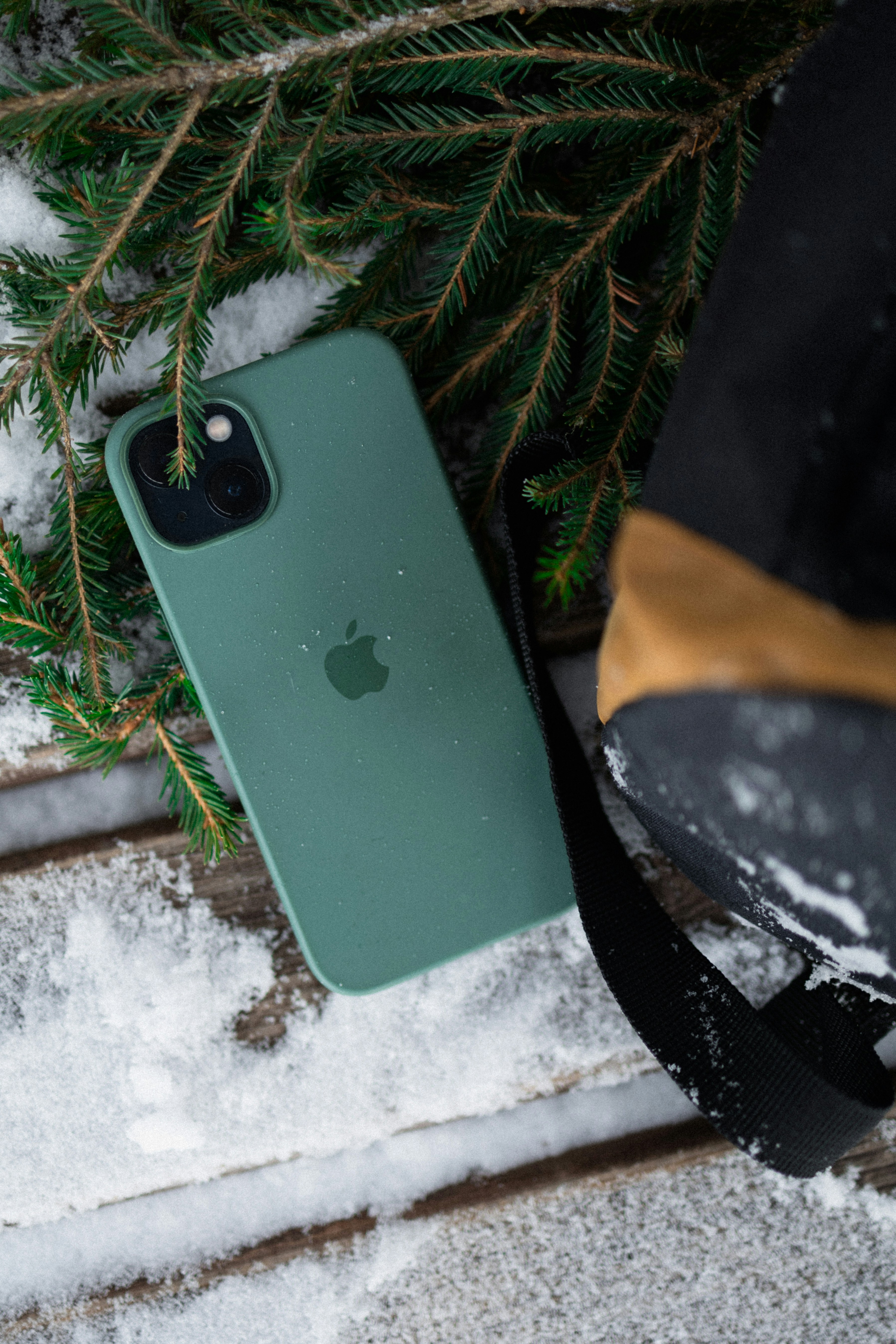 Emerald iPhone Nestled Under Winter Pine Needles