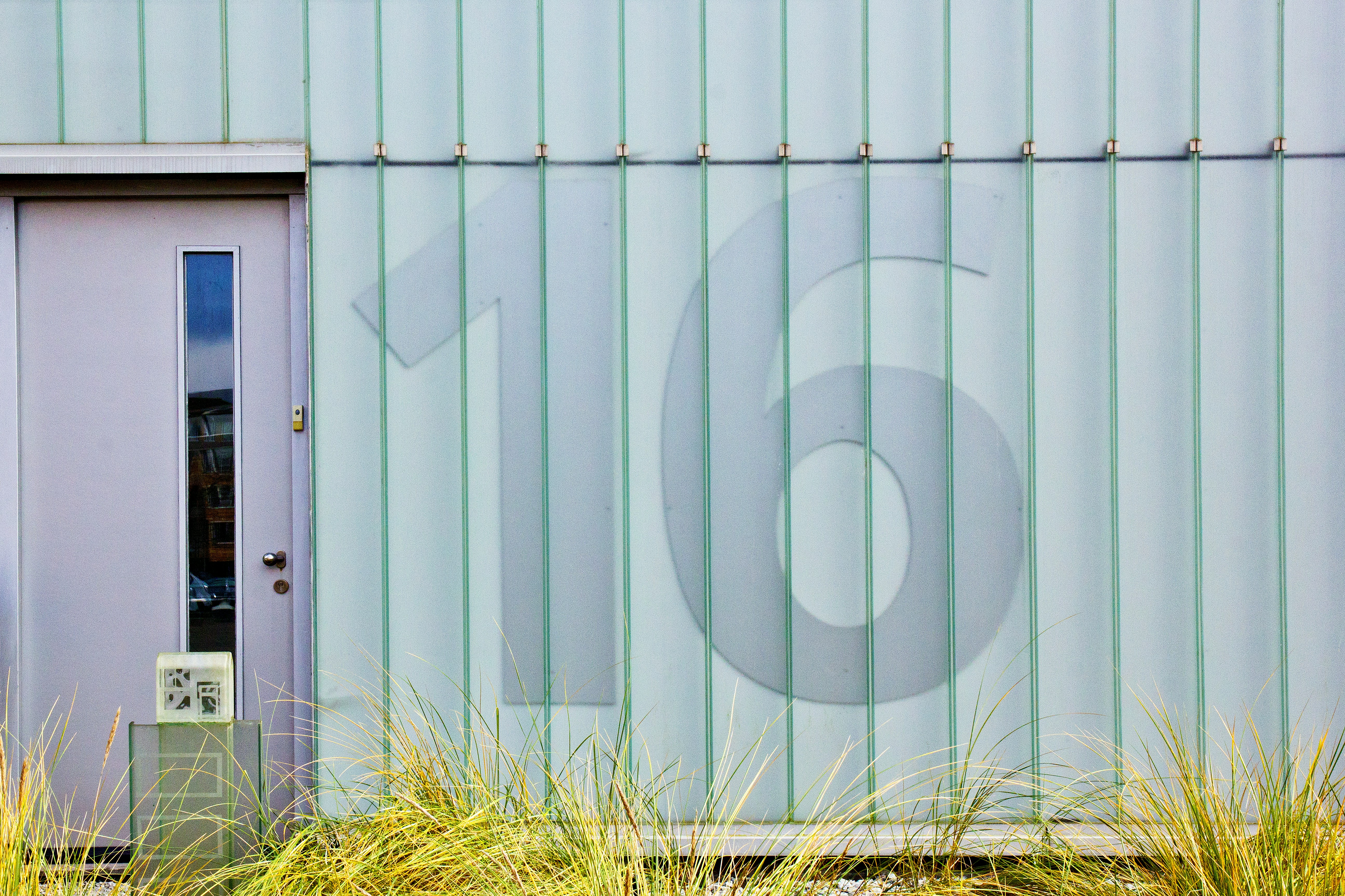 Stripes and Soil: A Door Against a Green Industrial Facade