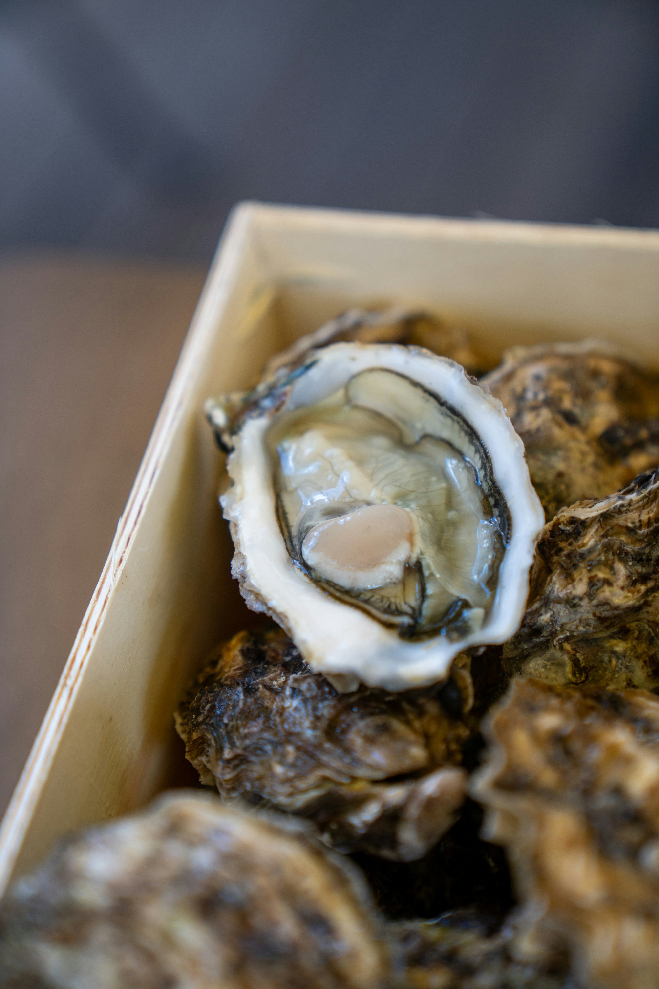 A close up of a box of oysters photo – Free Oyster Image on Unsplash