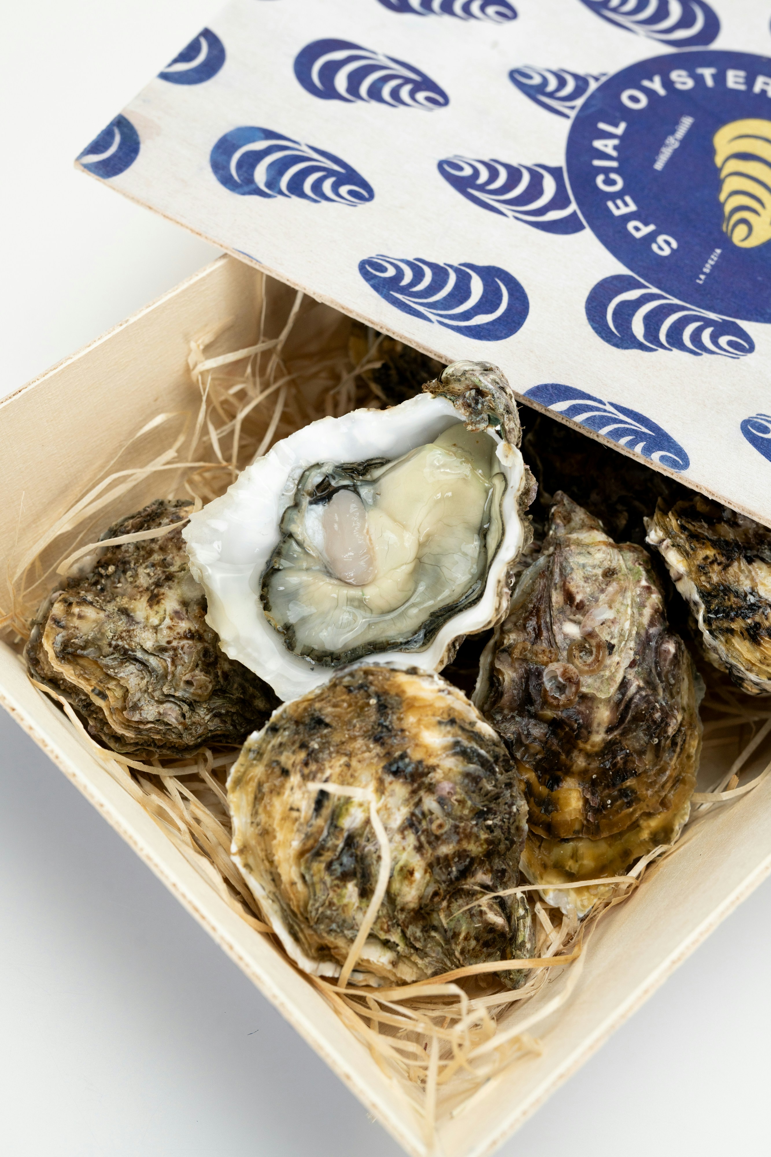 A box filled with oysters sitting on top of a table photo – Free Oyster ...