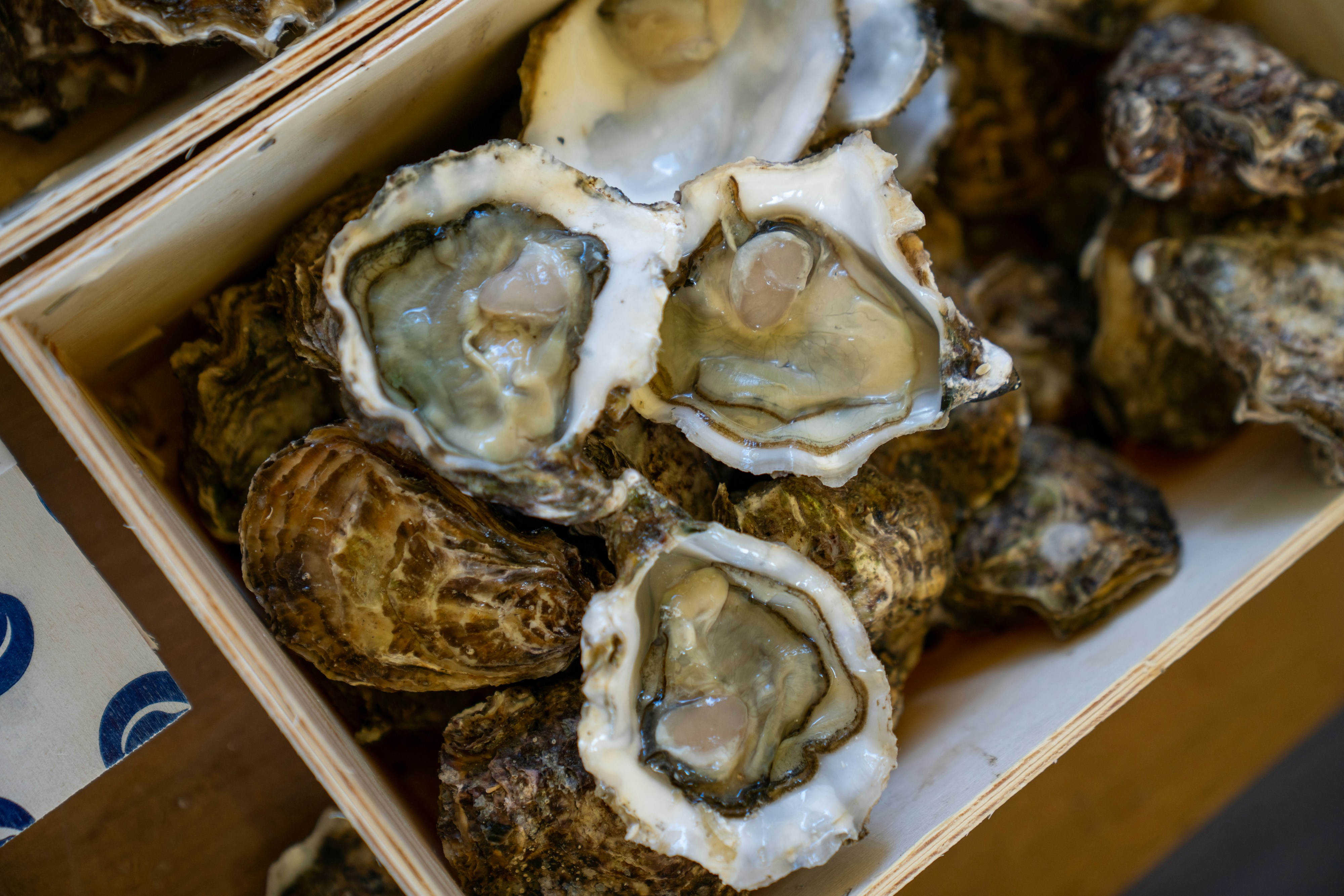 A box filled with oysters sitting on top of a table photo – Free ...