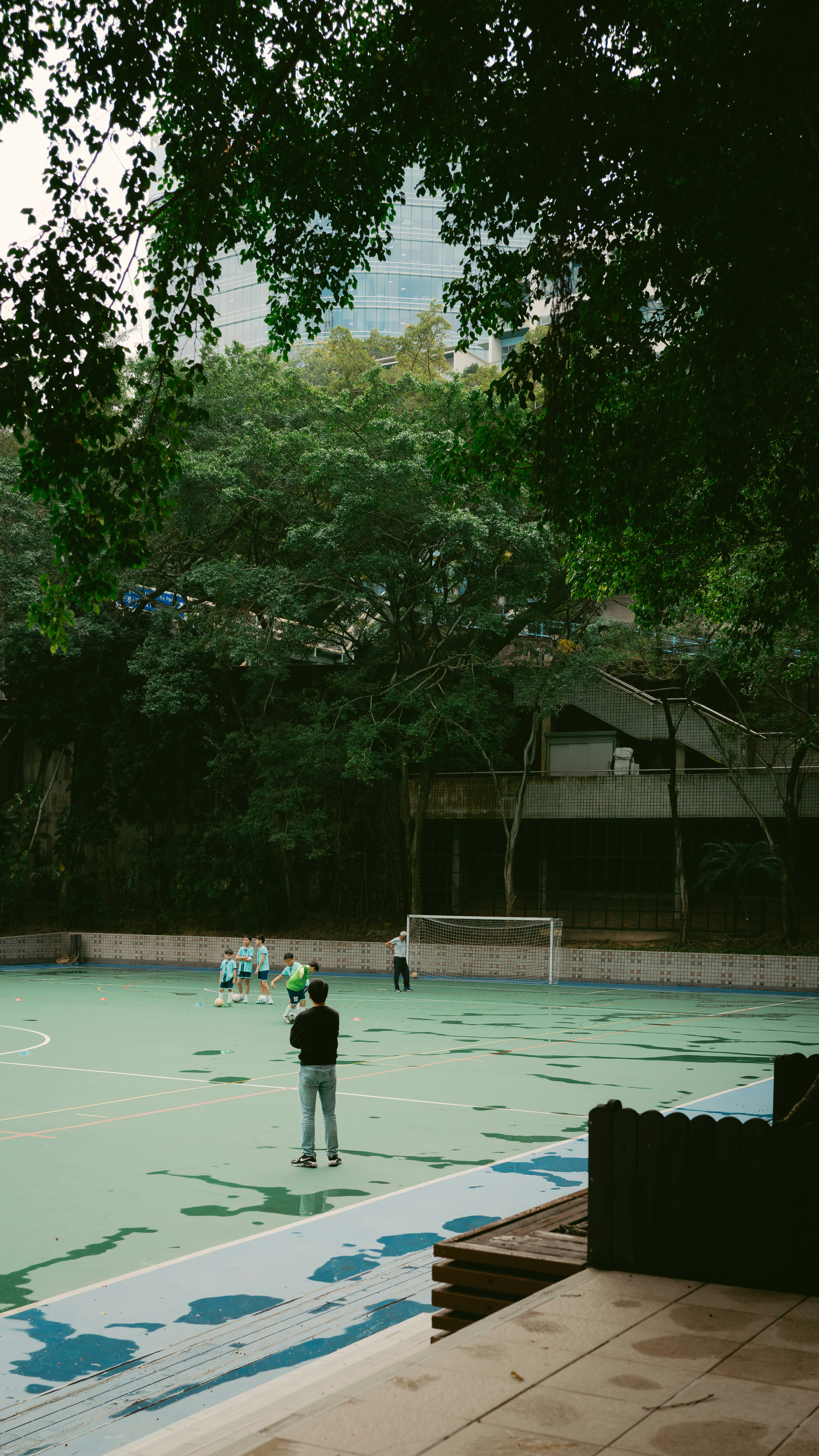 Lone Observer on a Rain-Washed Futsal Court Framed by a Green Canopy