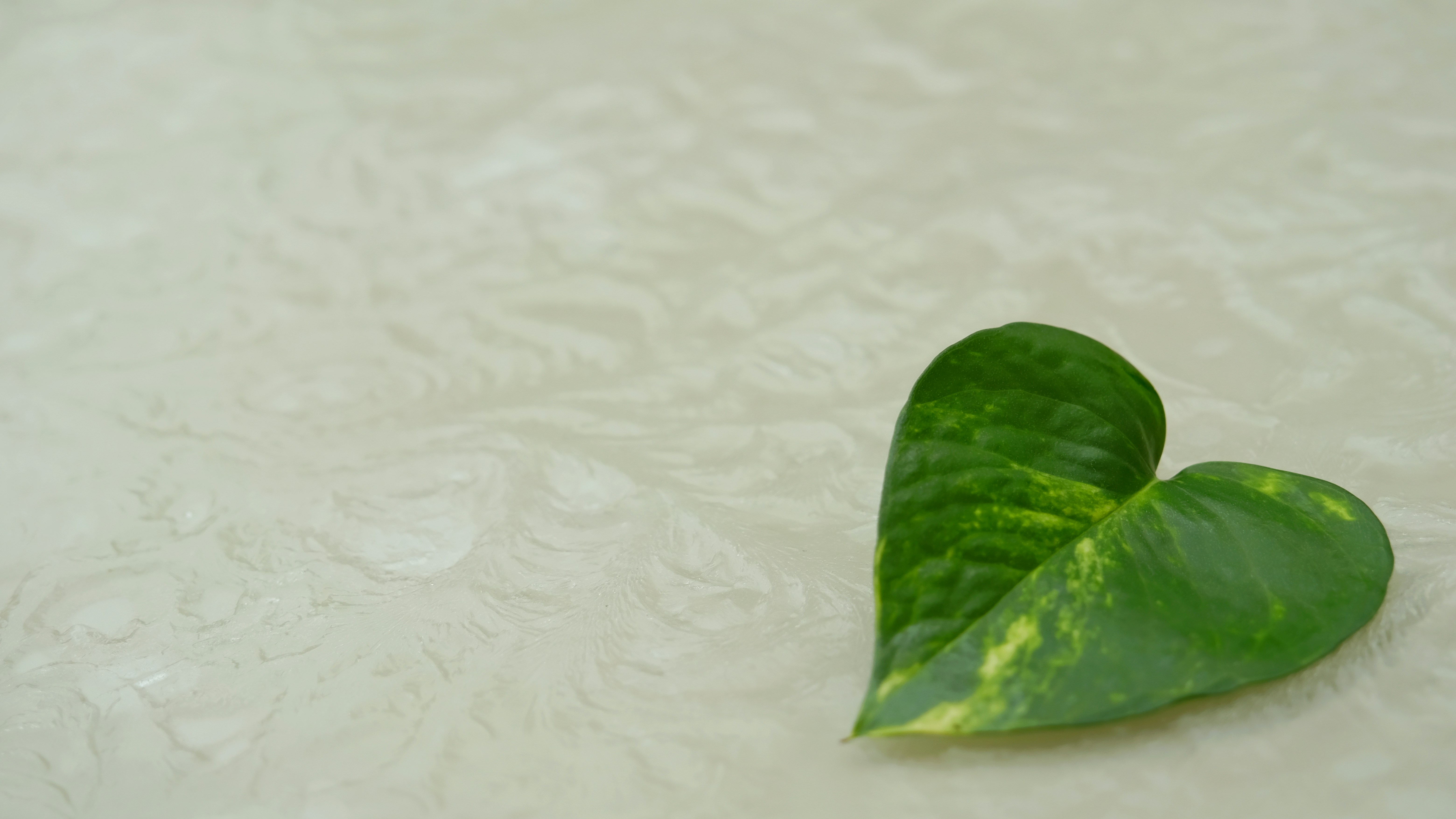 Verdant Heart on a Quiet Canvas