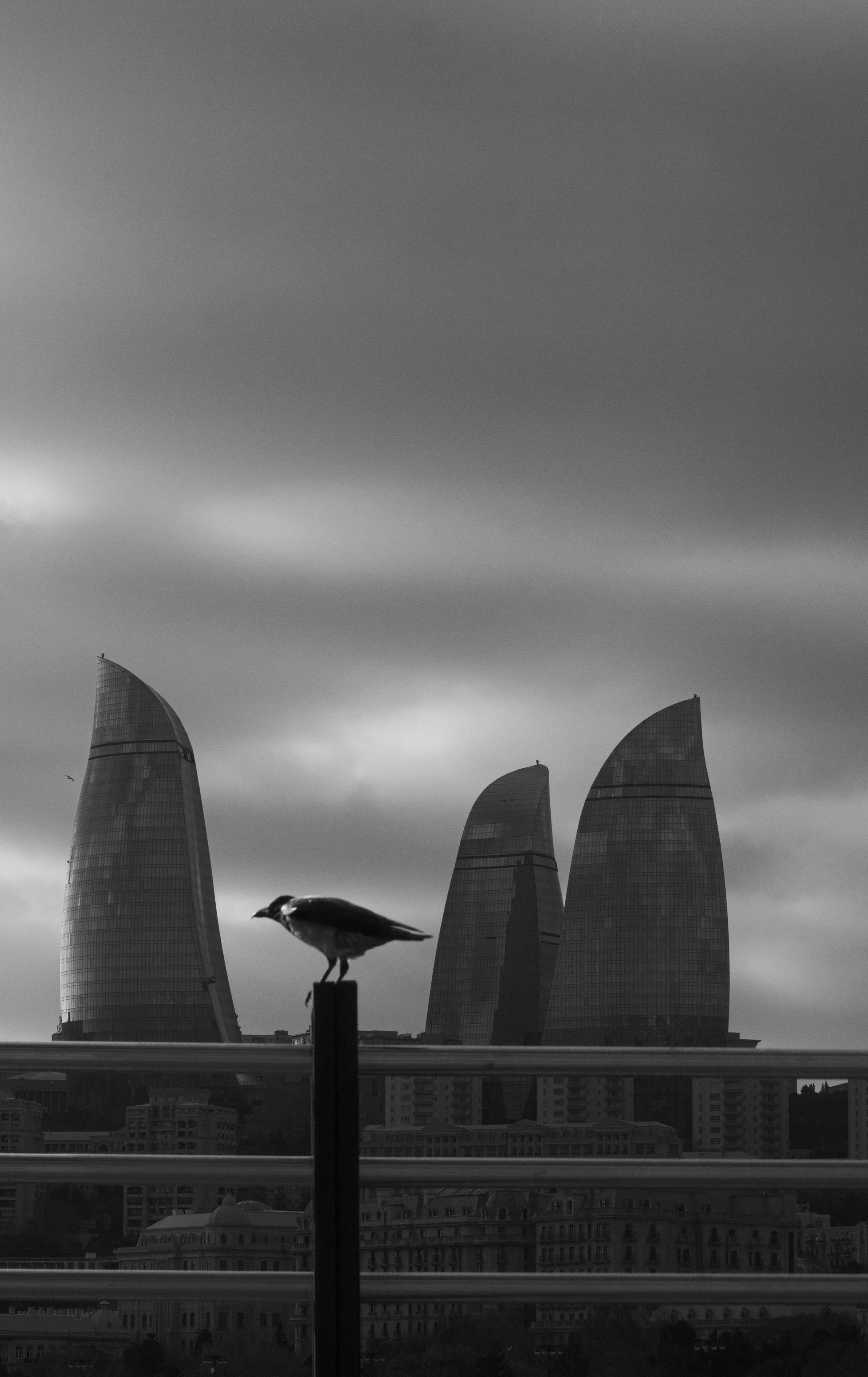 Photo by Agshin Osmanov with Canon EOS 600D