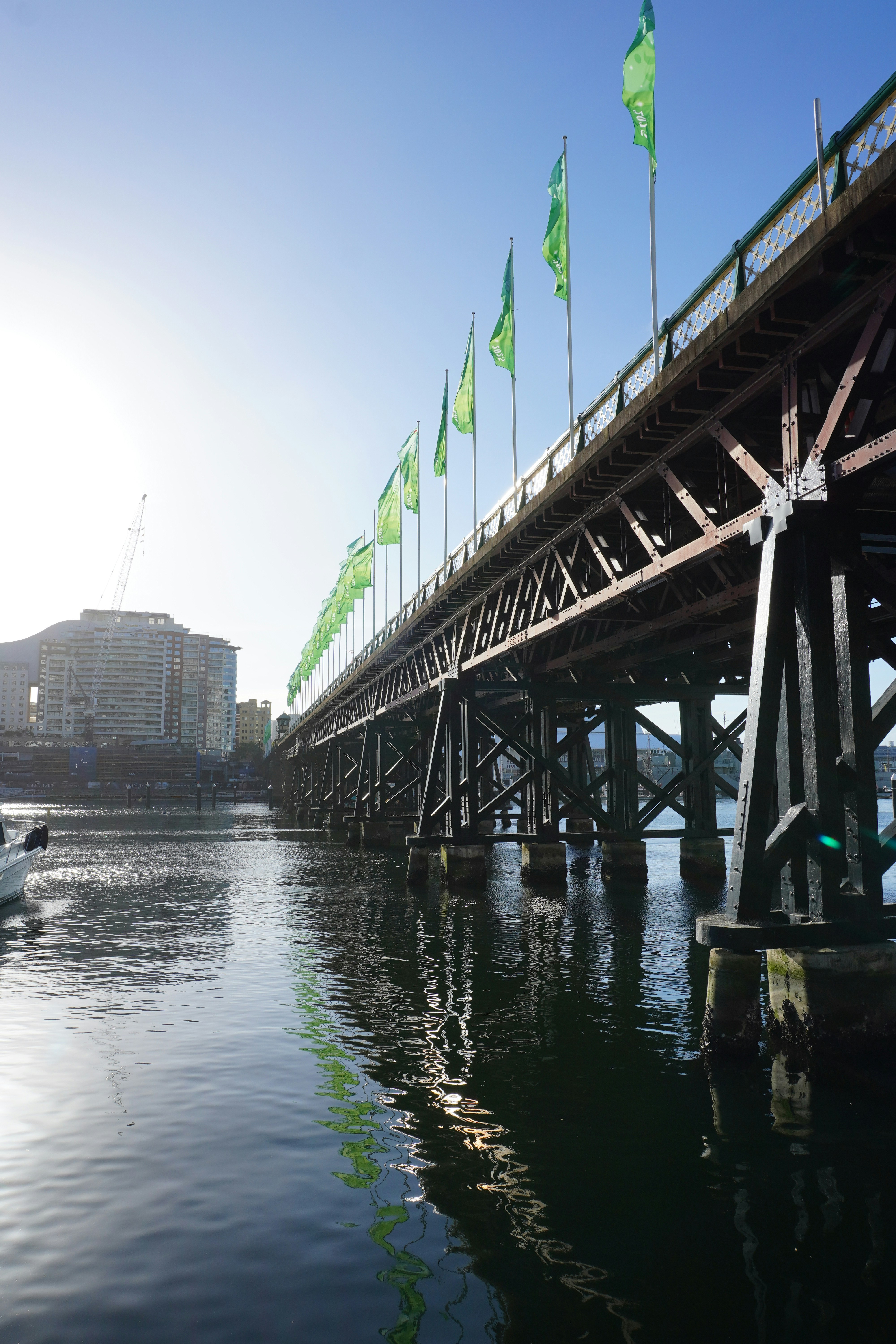 Emerald Flags Along the Iron Span: Riverfront Bridge in Bright Light