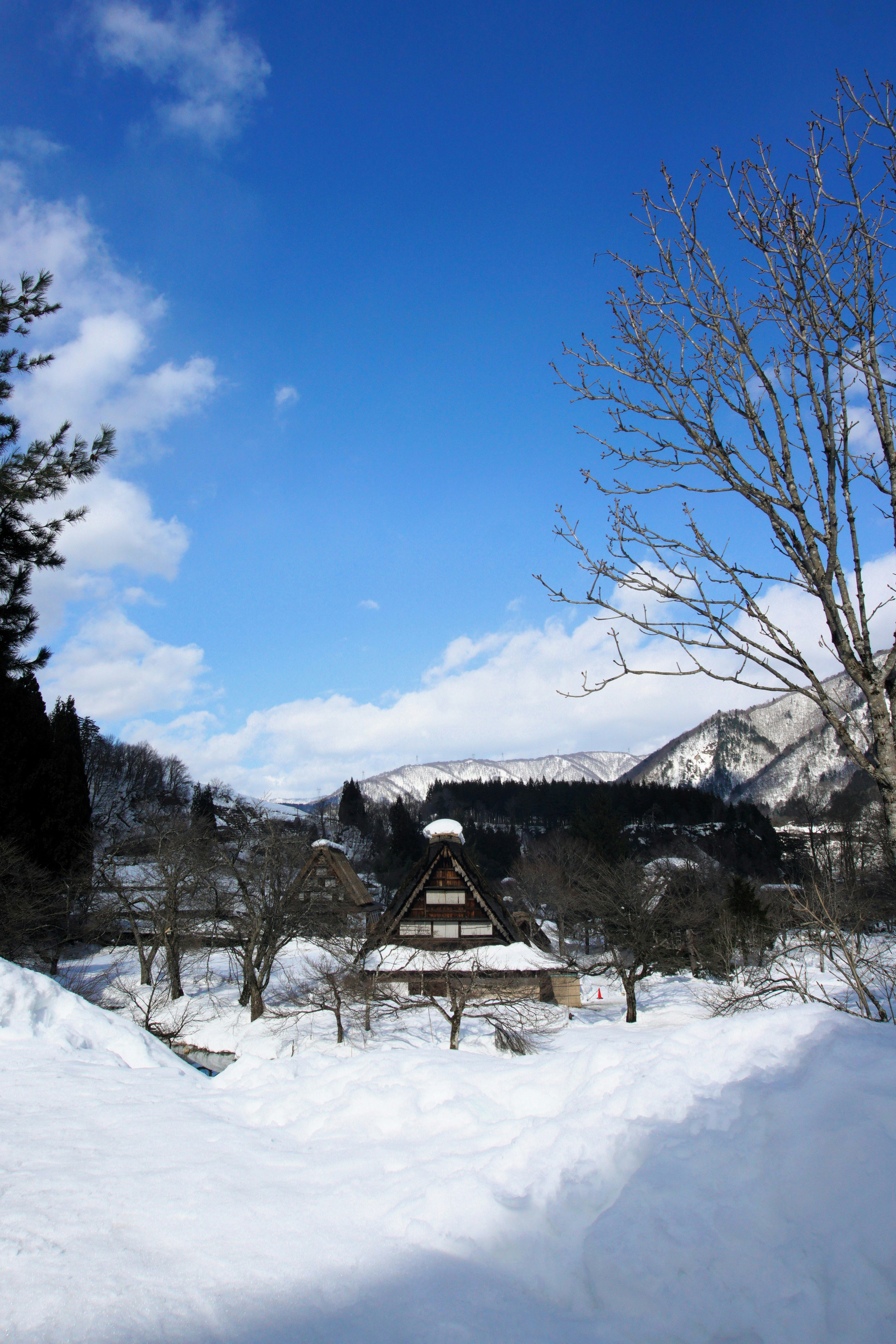 Snowbound A-Frame Sanctuary: A Quiet Valley Under a Pristine Blue Sky