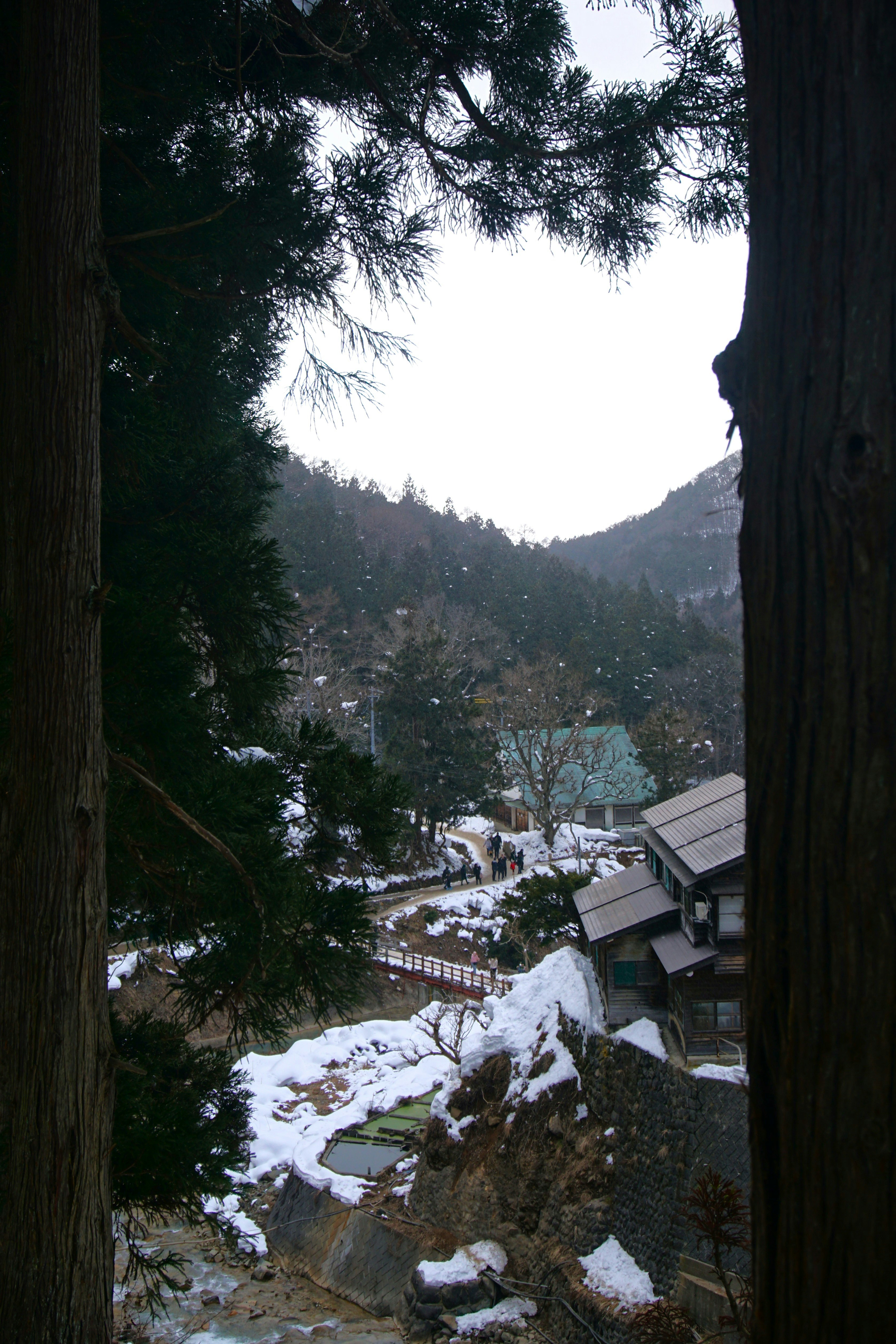 Between Silent Pines: Snowbound Cliffside Village