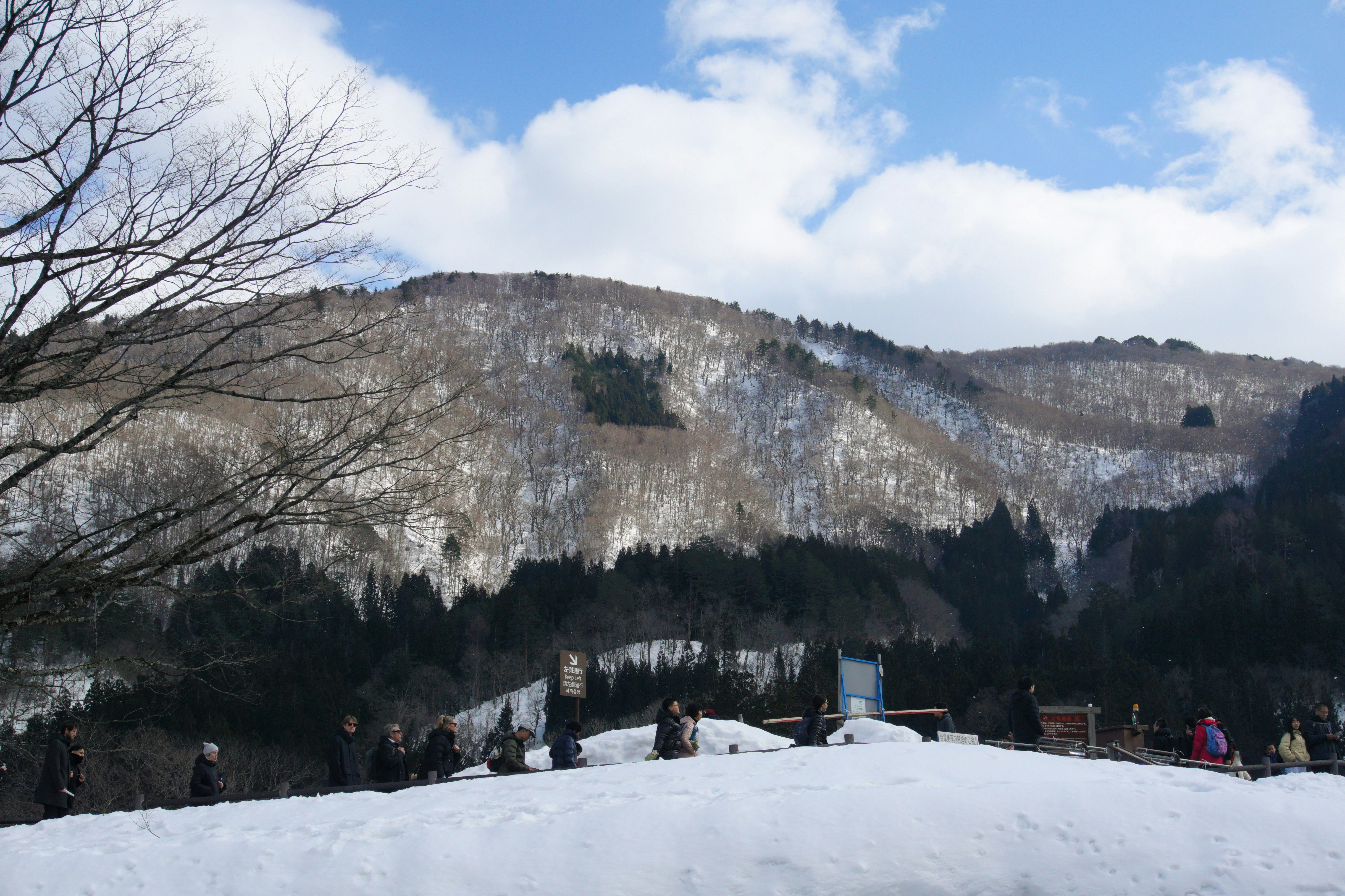 Snowbound Ridge Overlook: Hikers Gather Beneath a Powdery Sky