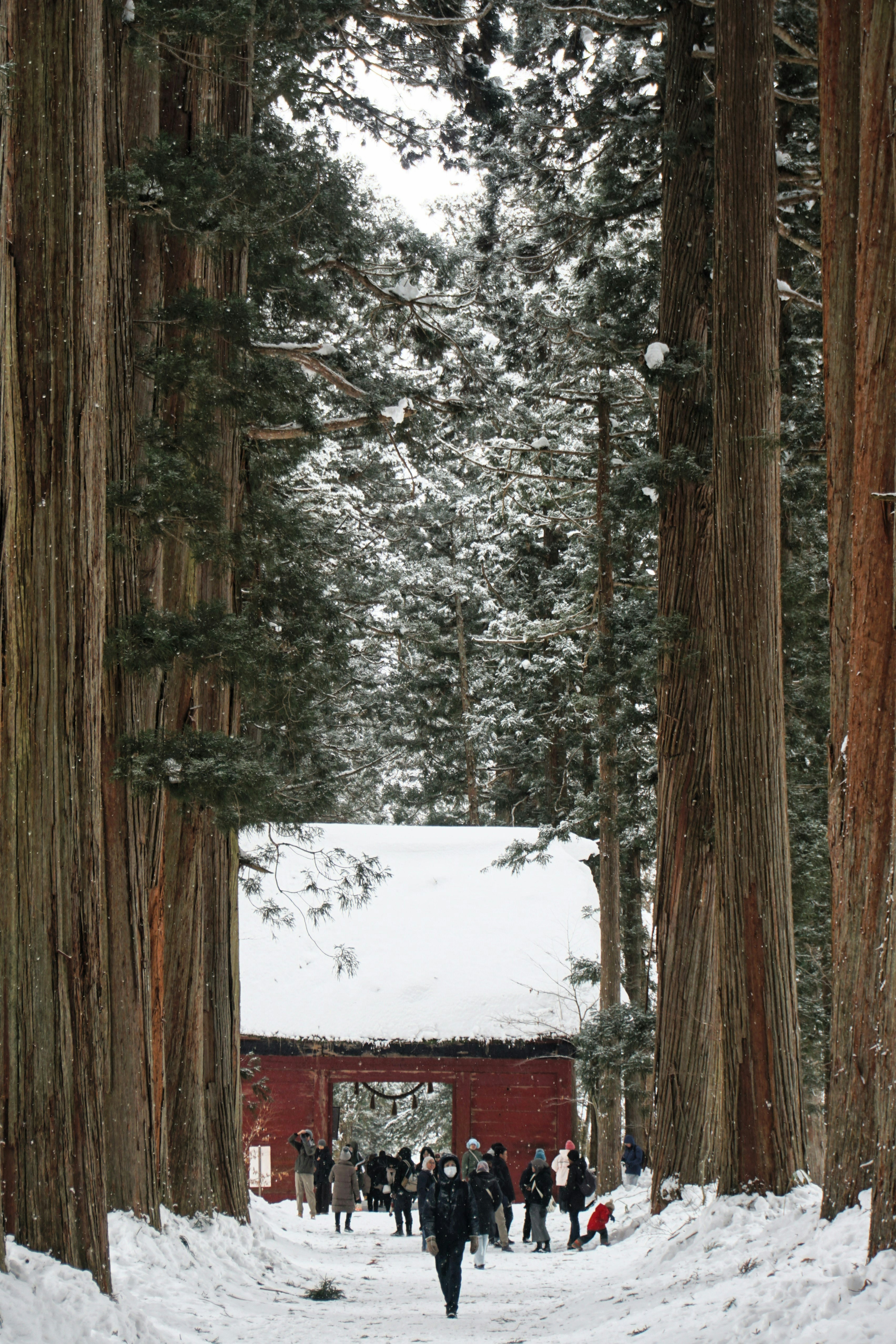 Red Gate Amid a Snow-Blanketed Cedar Avenue
