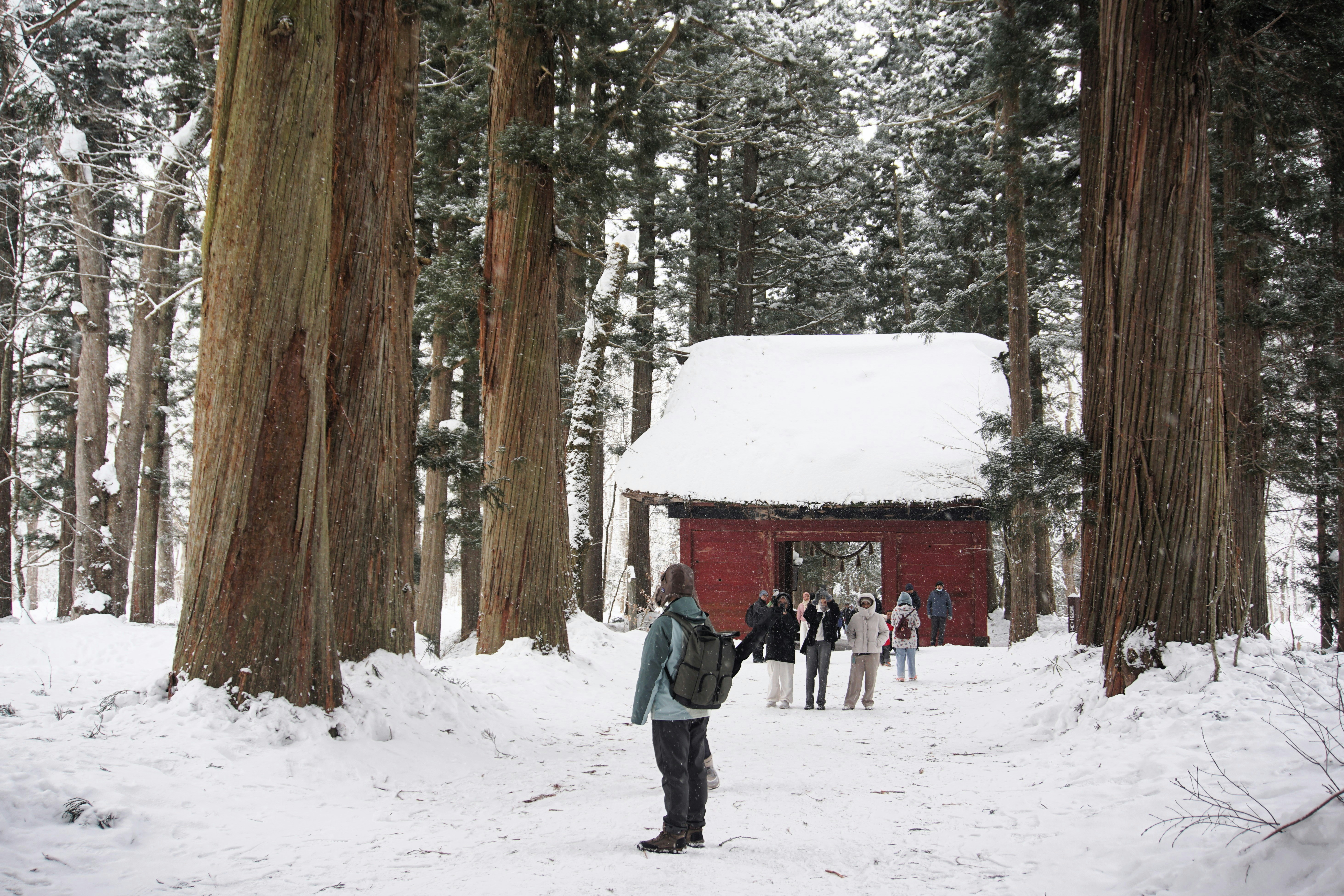 Snow-covered forest with towering trees leading to a small red shrine, people walking through the tranquil scene.