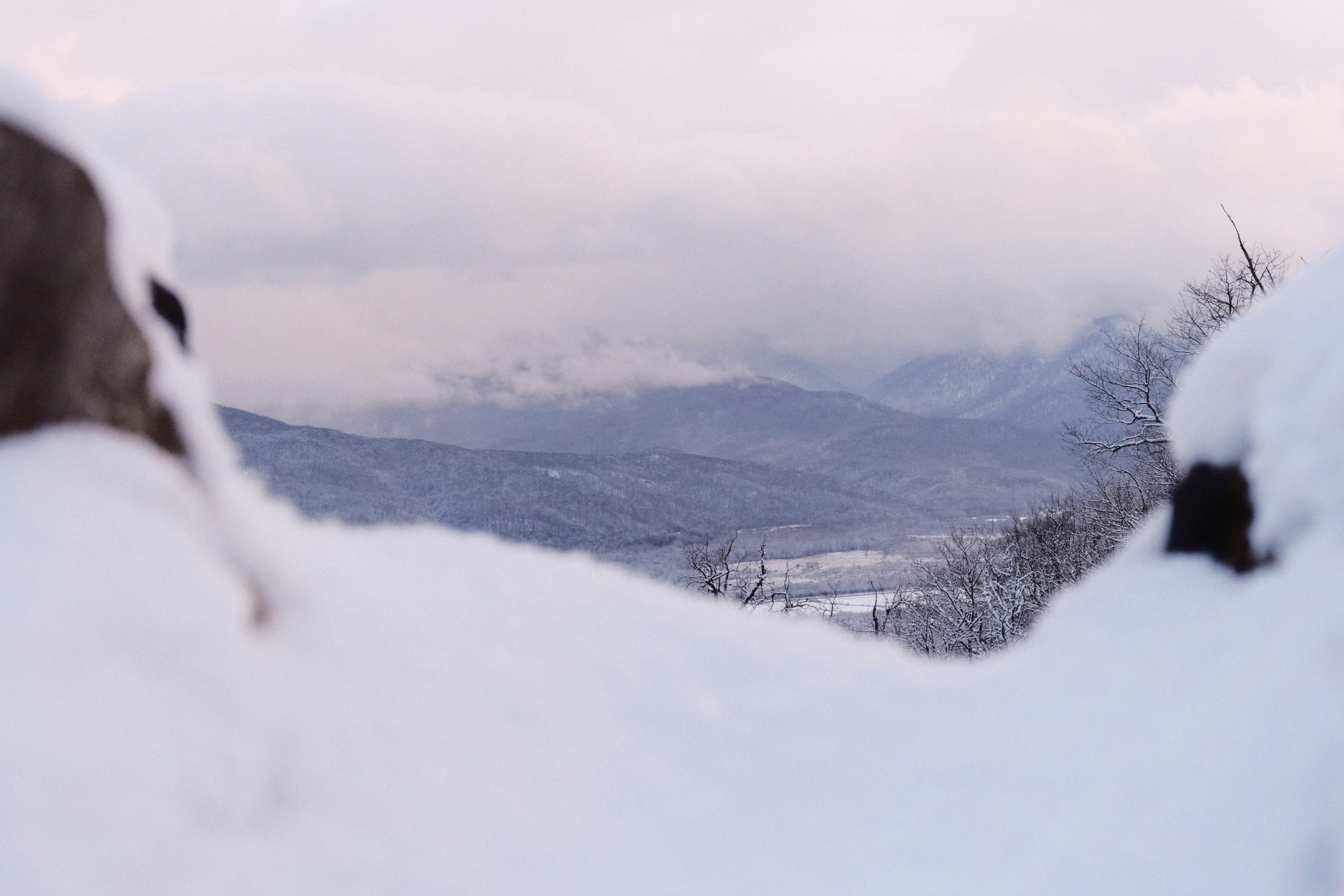 Whispers of Winter Across the Valley