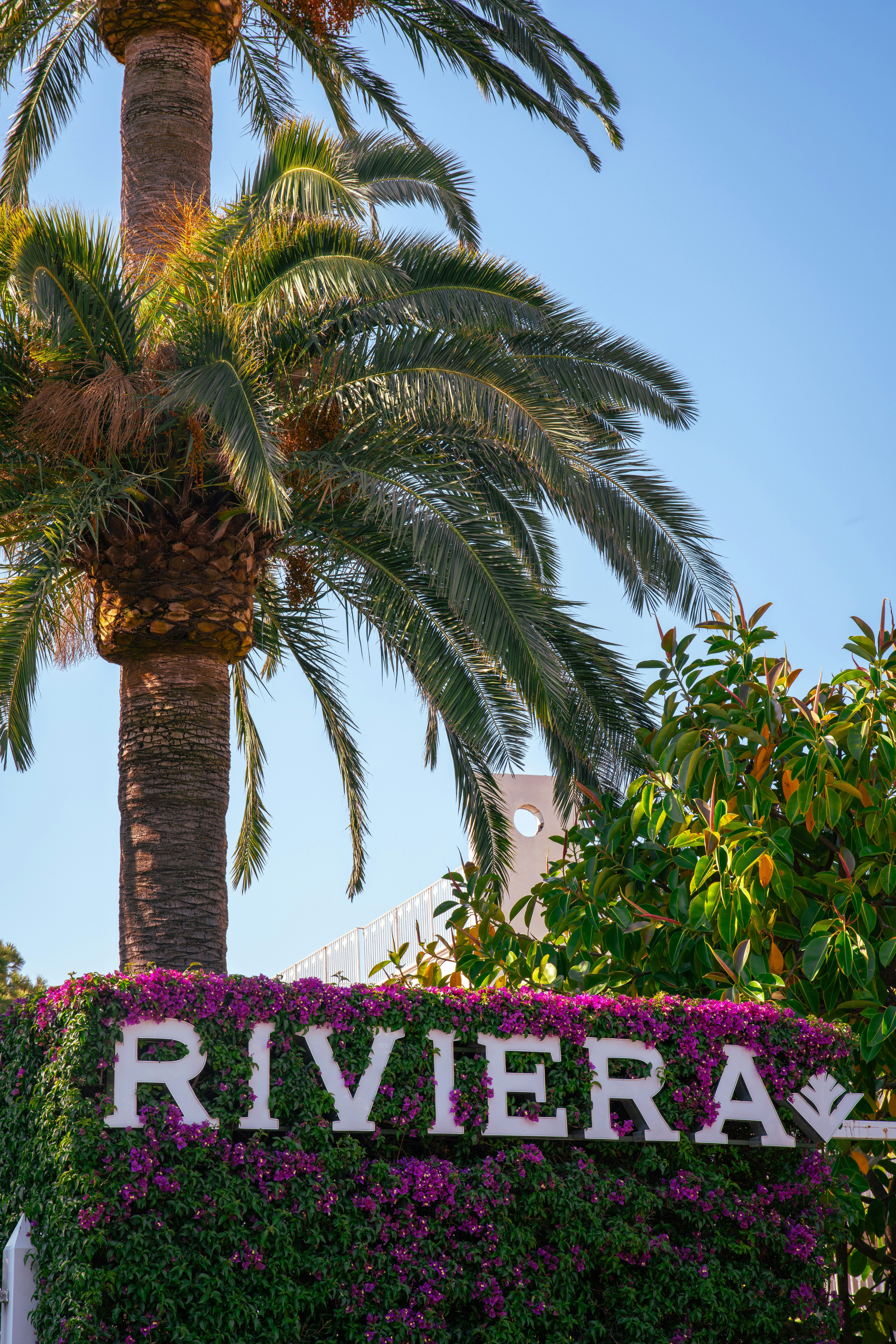 Terracotta Trunk and Blooming Welcome at Riviera Sign