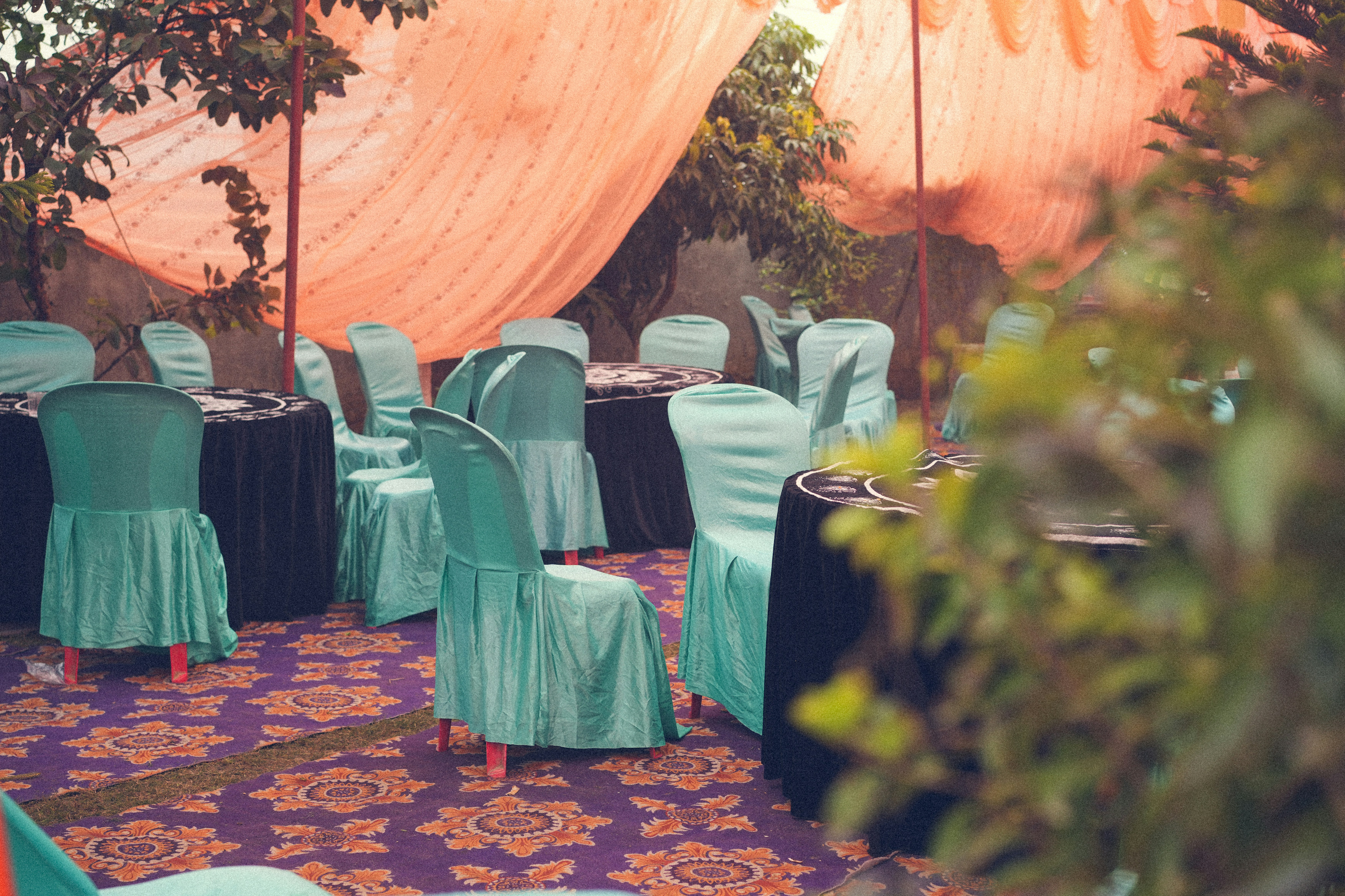 A serene outdoor event setup featuring turquoise chairs and black tables beneath a soft, draped canopy. The vibrant patterned carpet adds a touch of elegance.