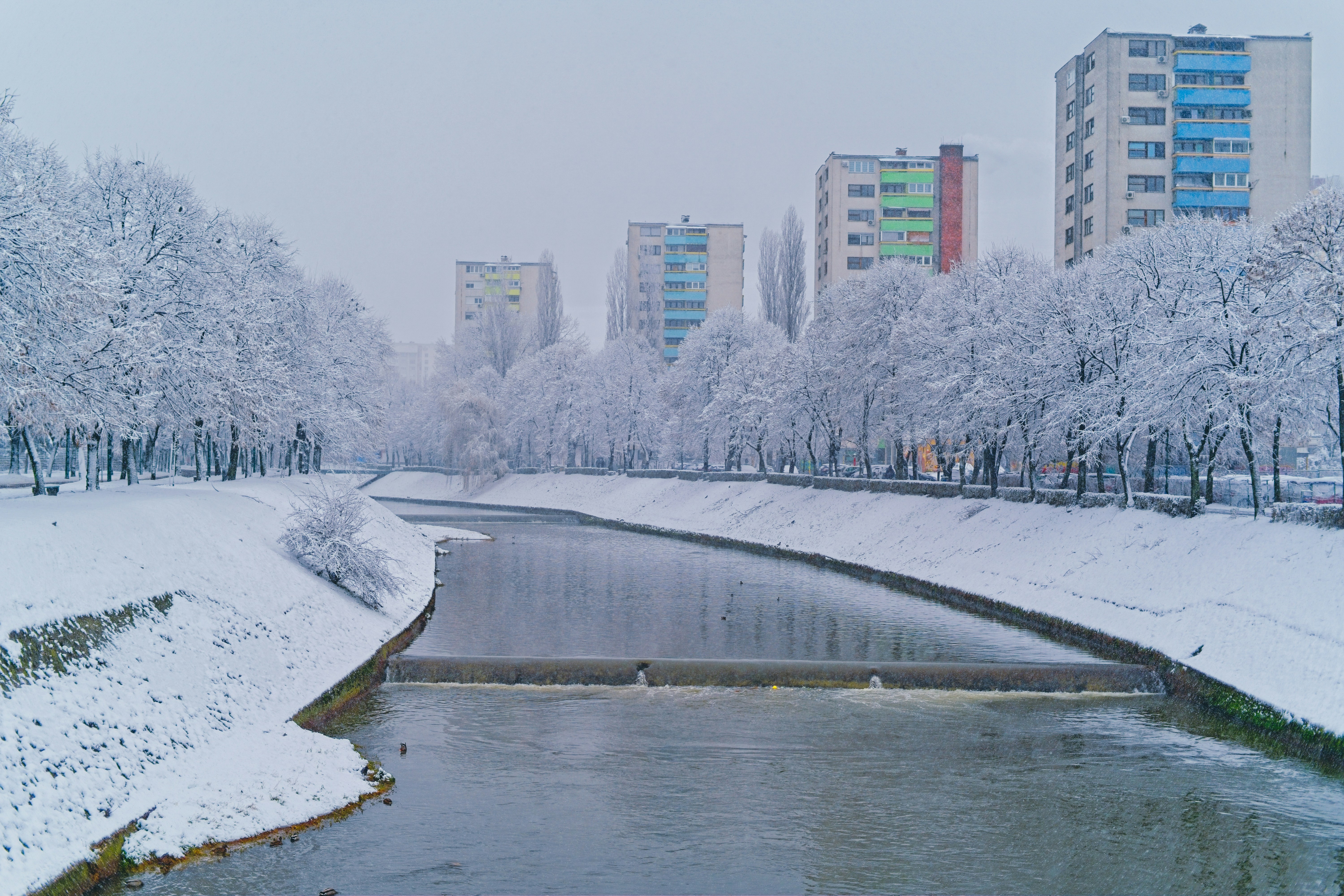 Snow-laden trees line a serene river with colorful apartment buildings in the background.