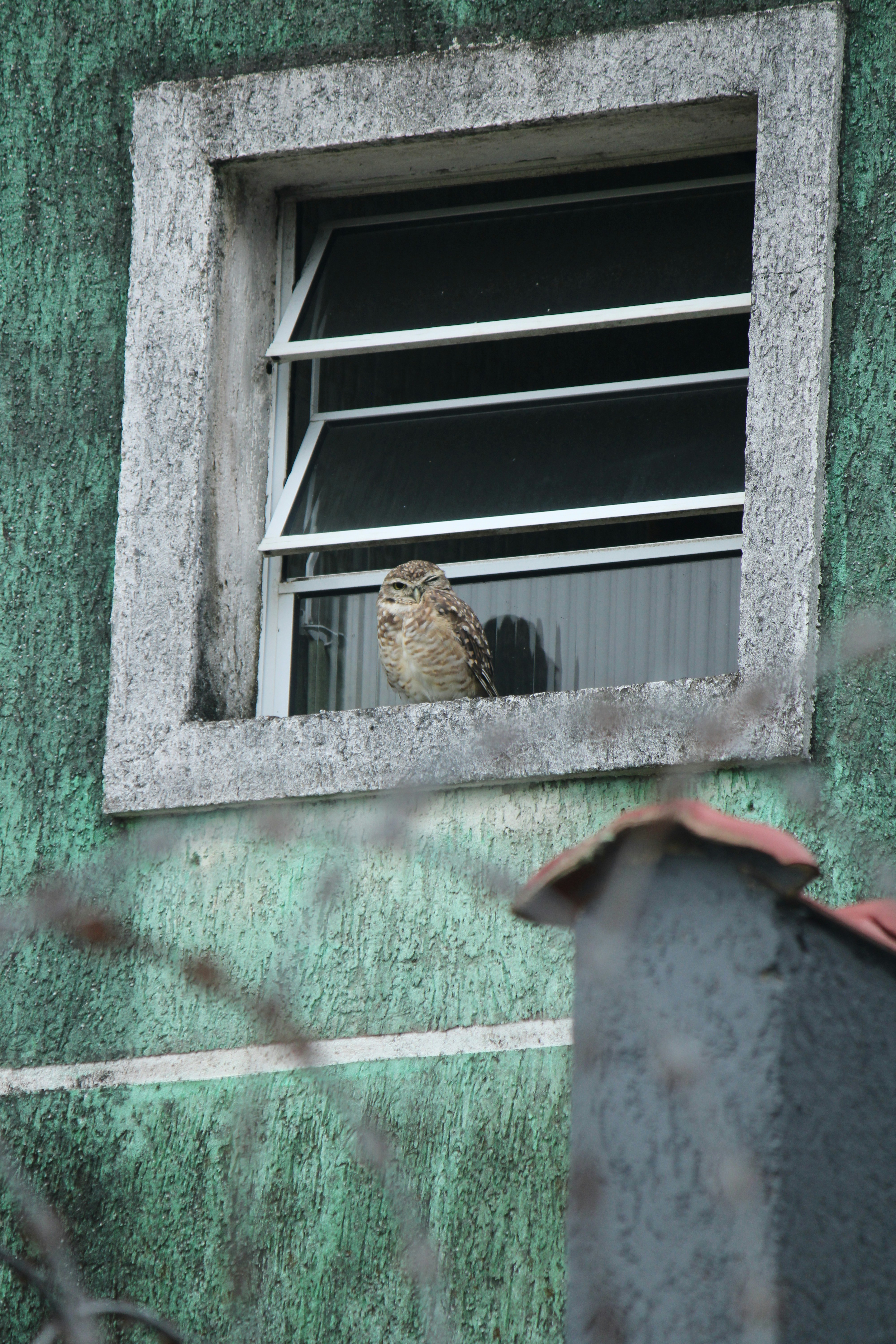 Photo by Paulo Pescada with Canon EOS 2000D