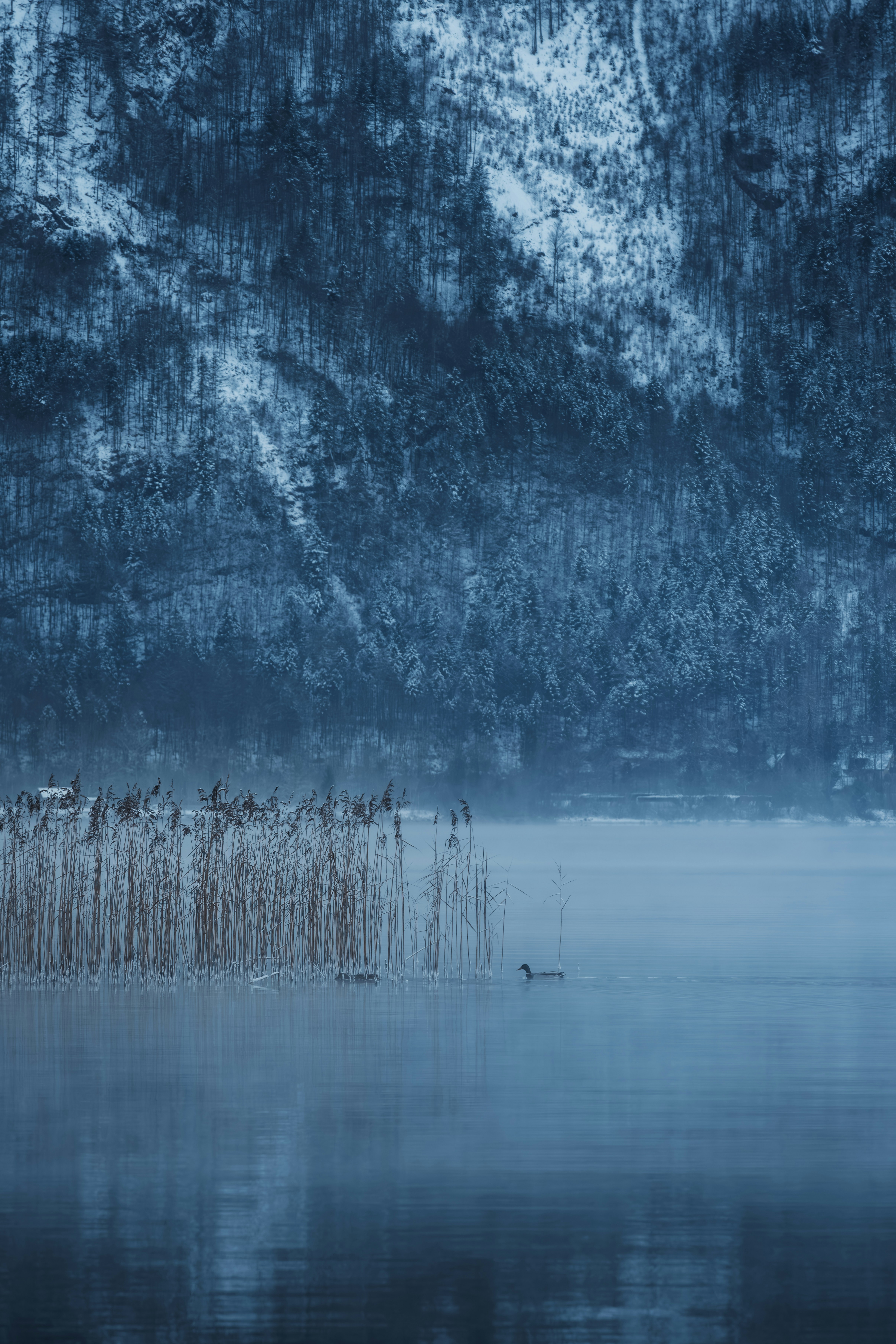 Calm Background Pictures | Download Free Images on Unsplash