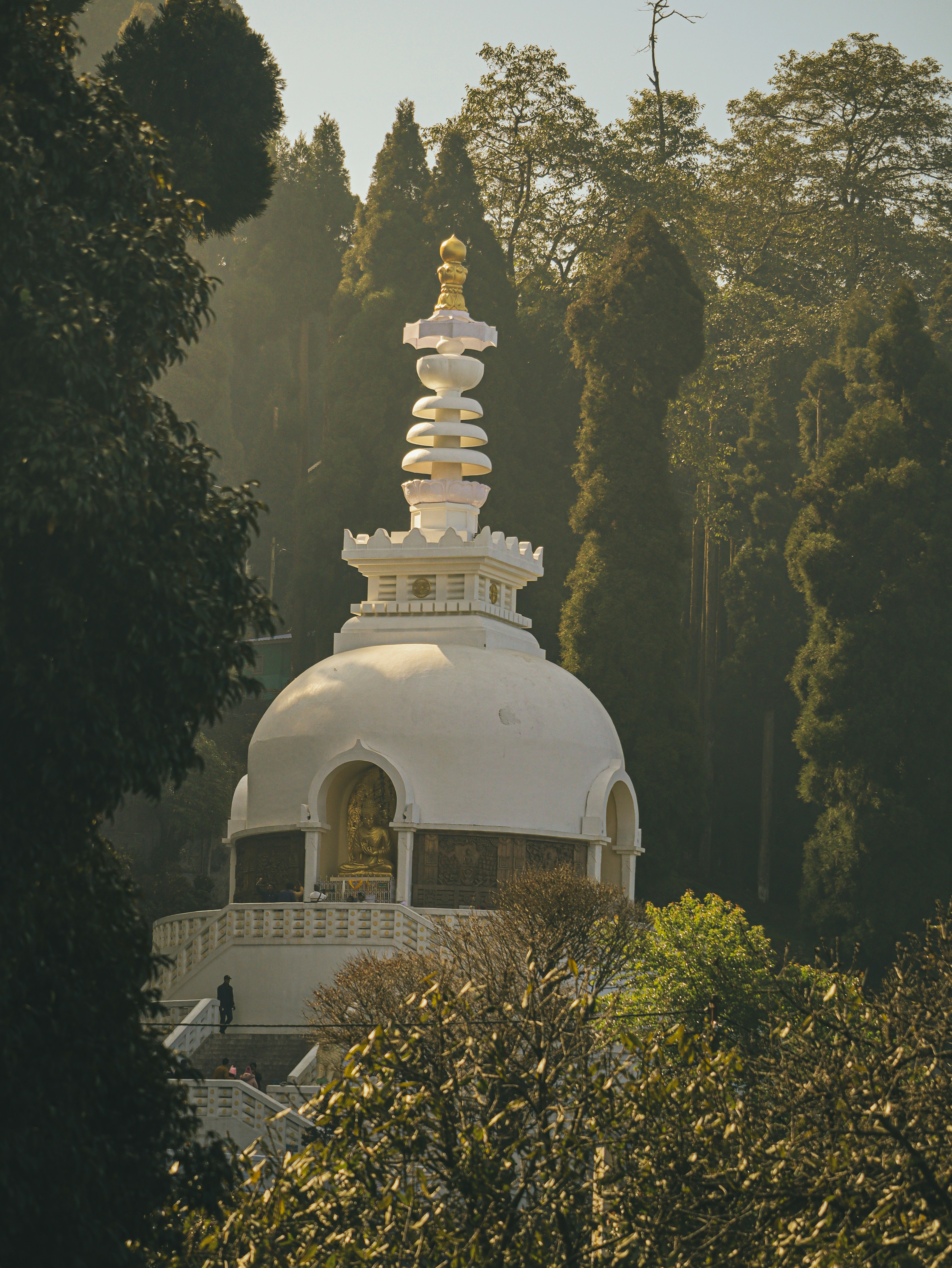 Sunlit Stupa Rising Above the Pines