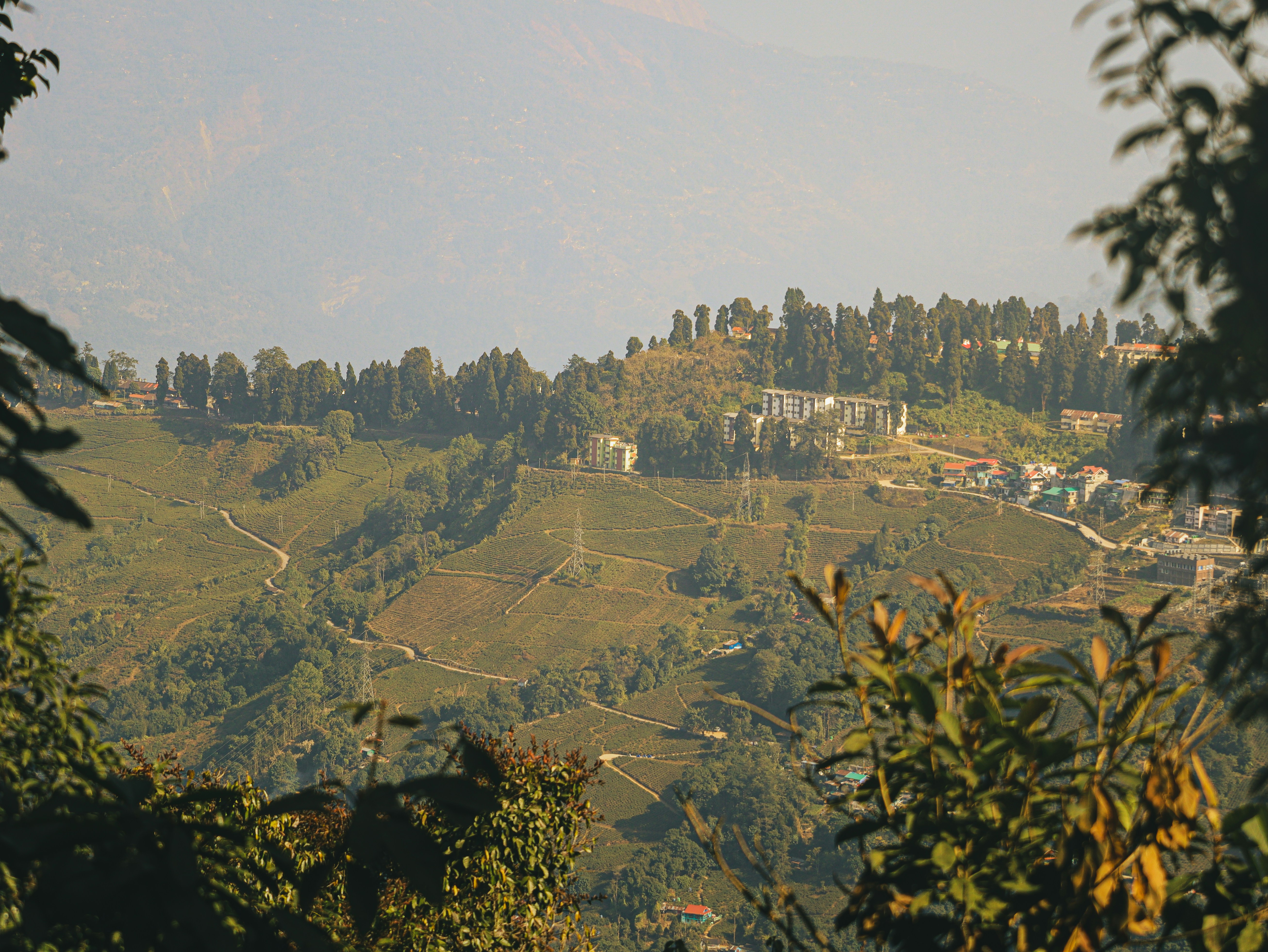 Terraced Tranquility: A Hillside Haven