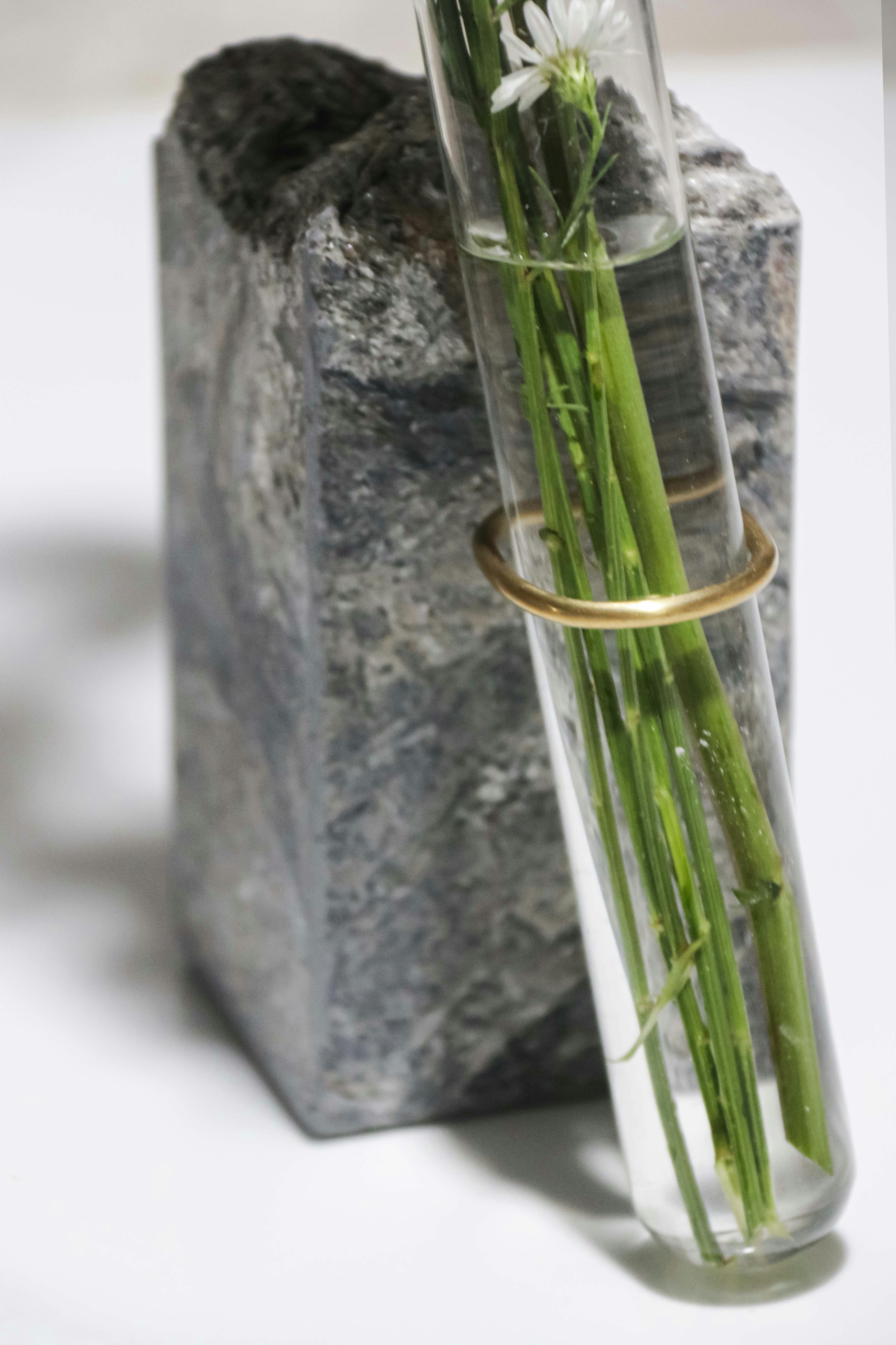 Emerald Stem in Glass Cylinder Against Stone Block