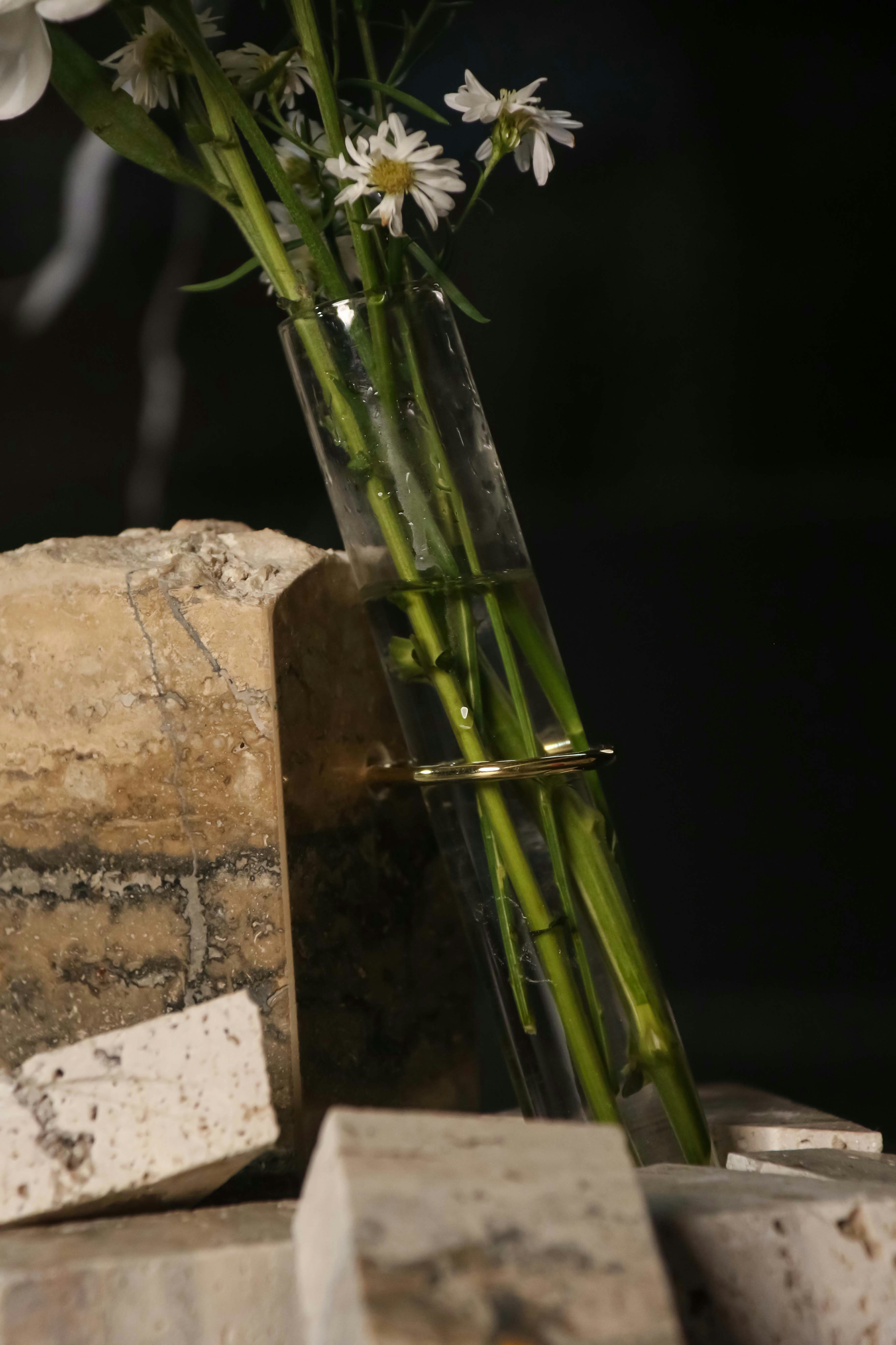 Dainty daisies in a glass vase resting against a weathered stone