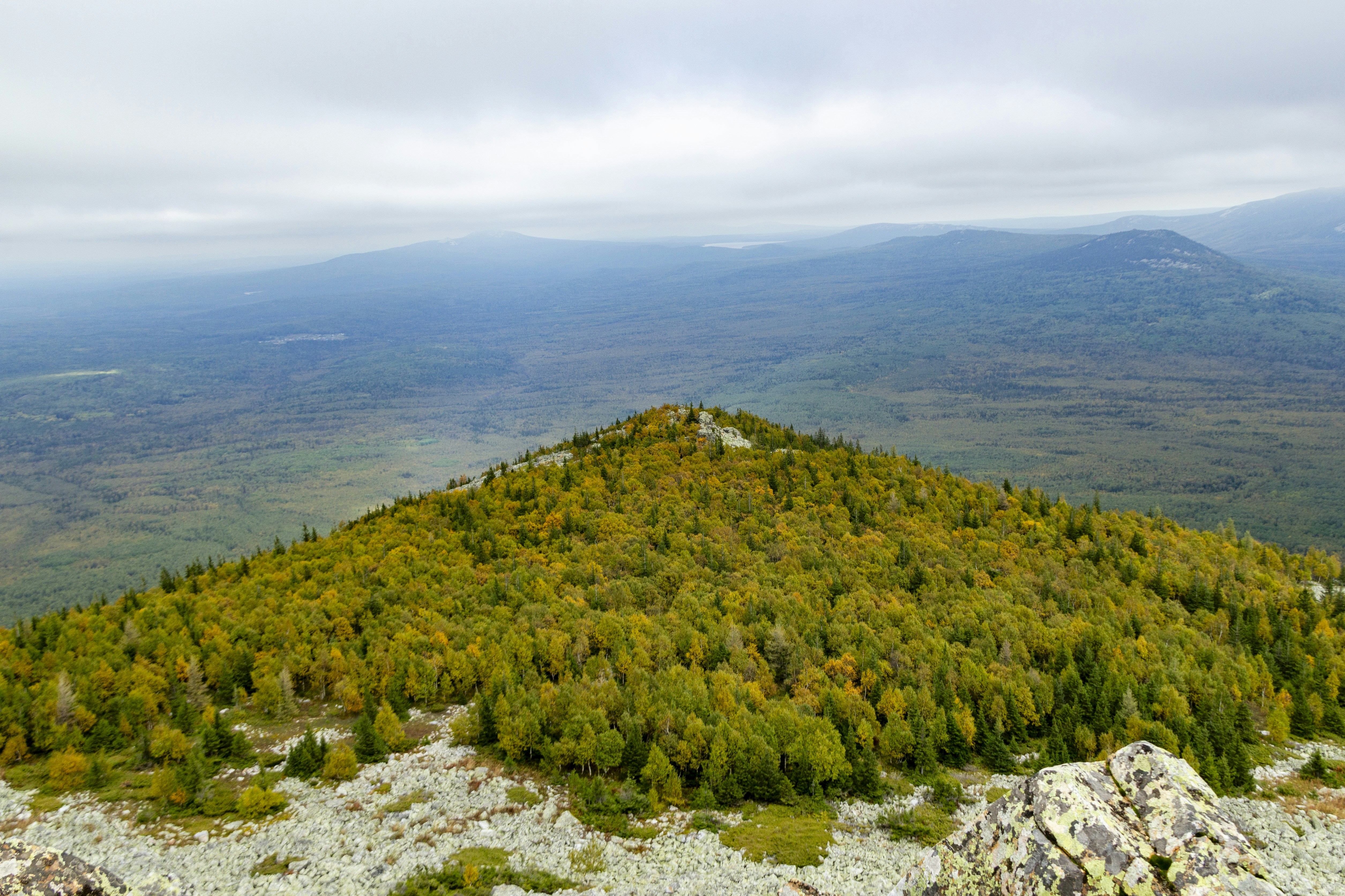 Autumn Ridge Crown: Summit View Over a Rolling Pine Forest