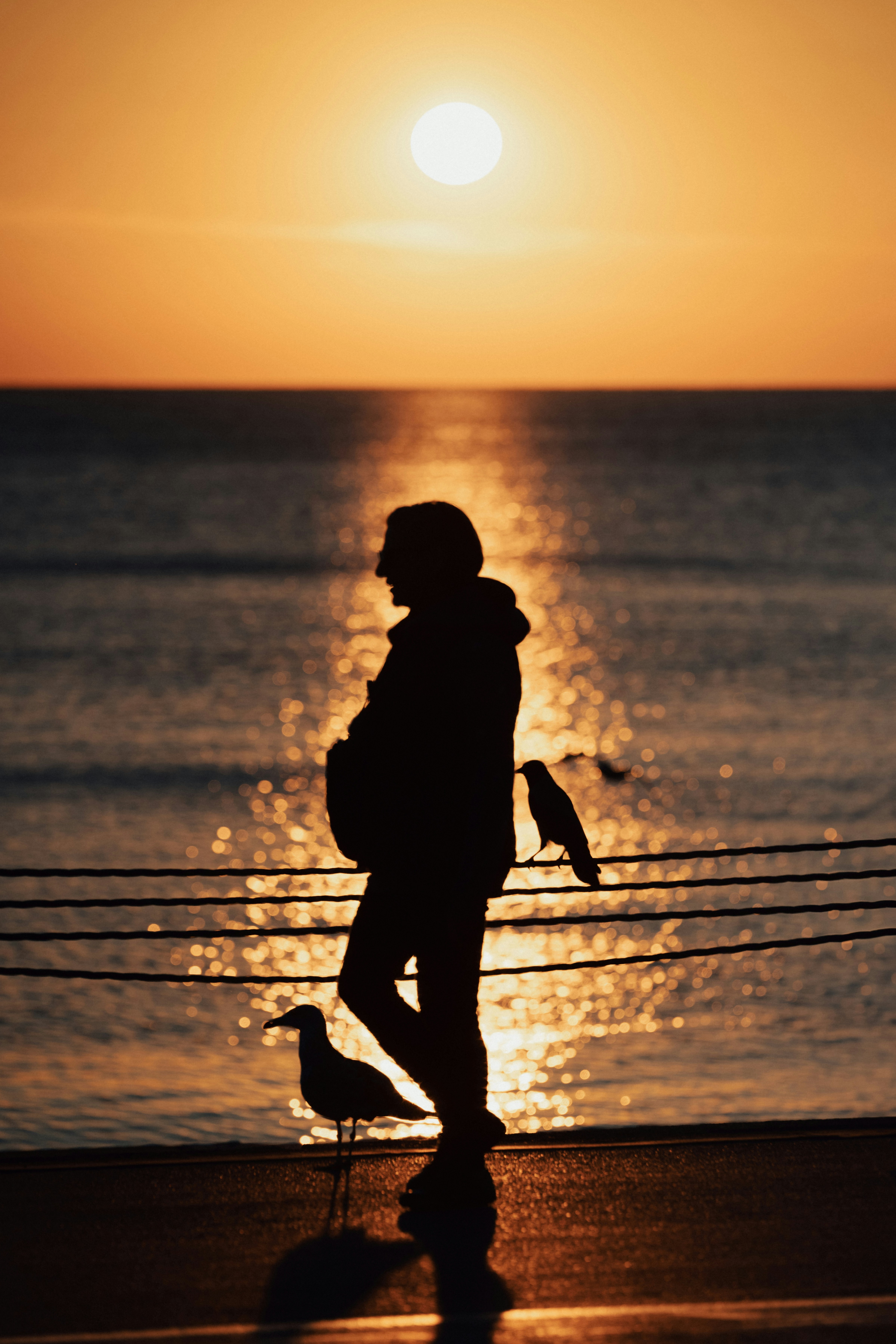 Silhouette by the Sea at Sundown