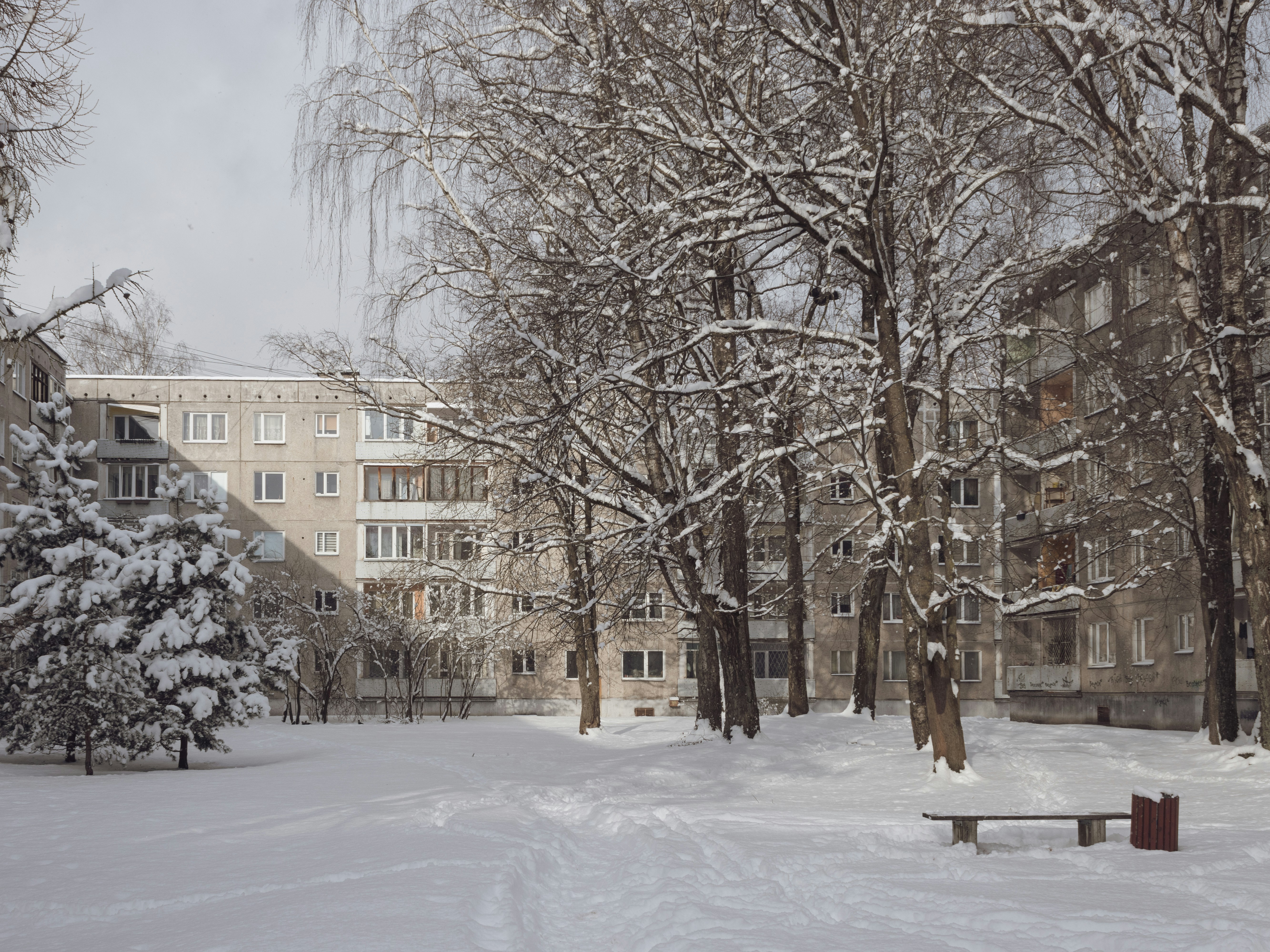 Snow-covered trees and buildings in a quiet urban courtyard.
