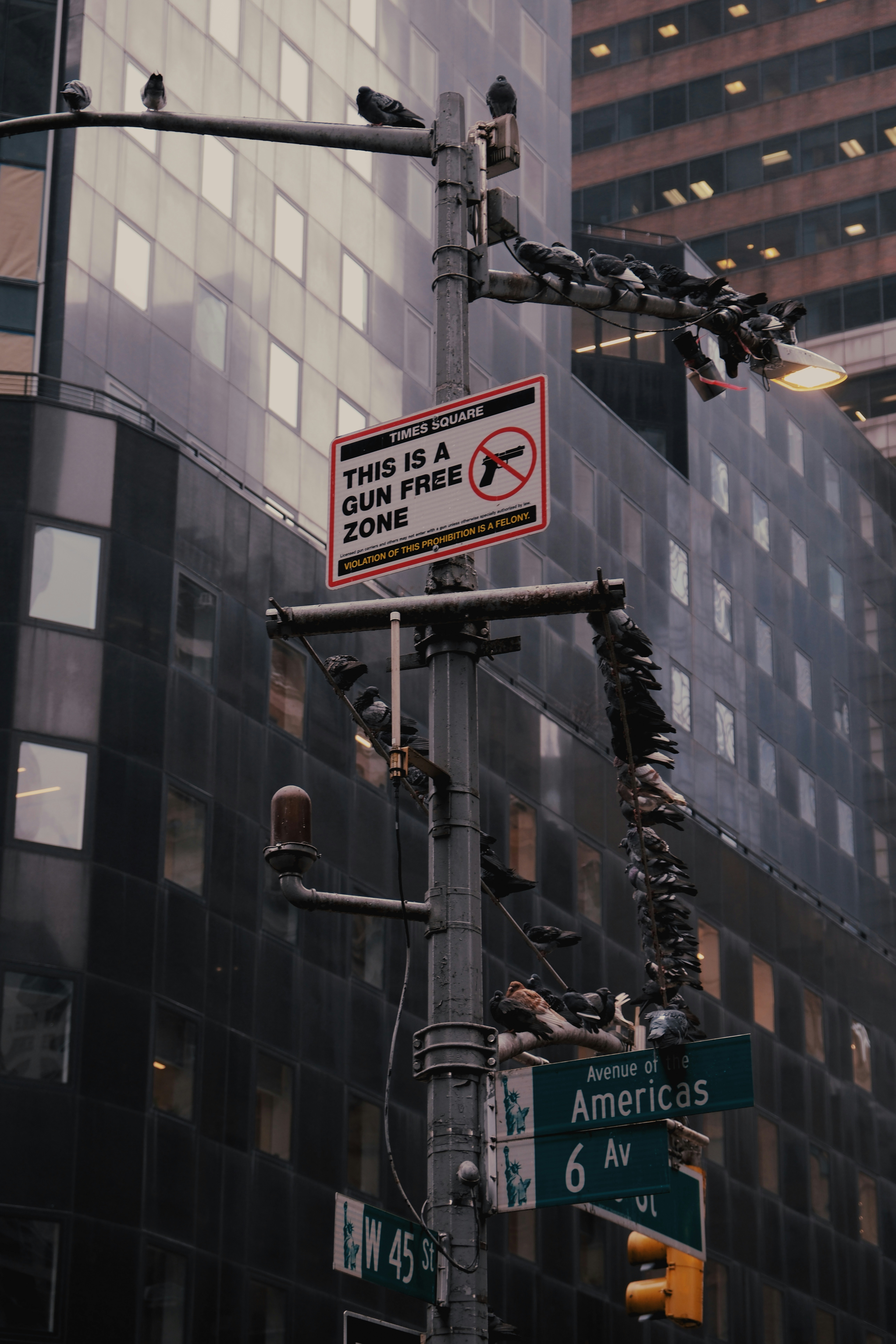 Gun-Free Zone Sign Framed by Pigeons Against a Glass City Backdrop