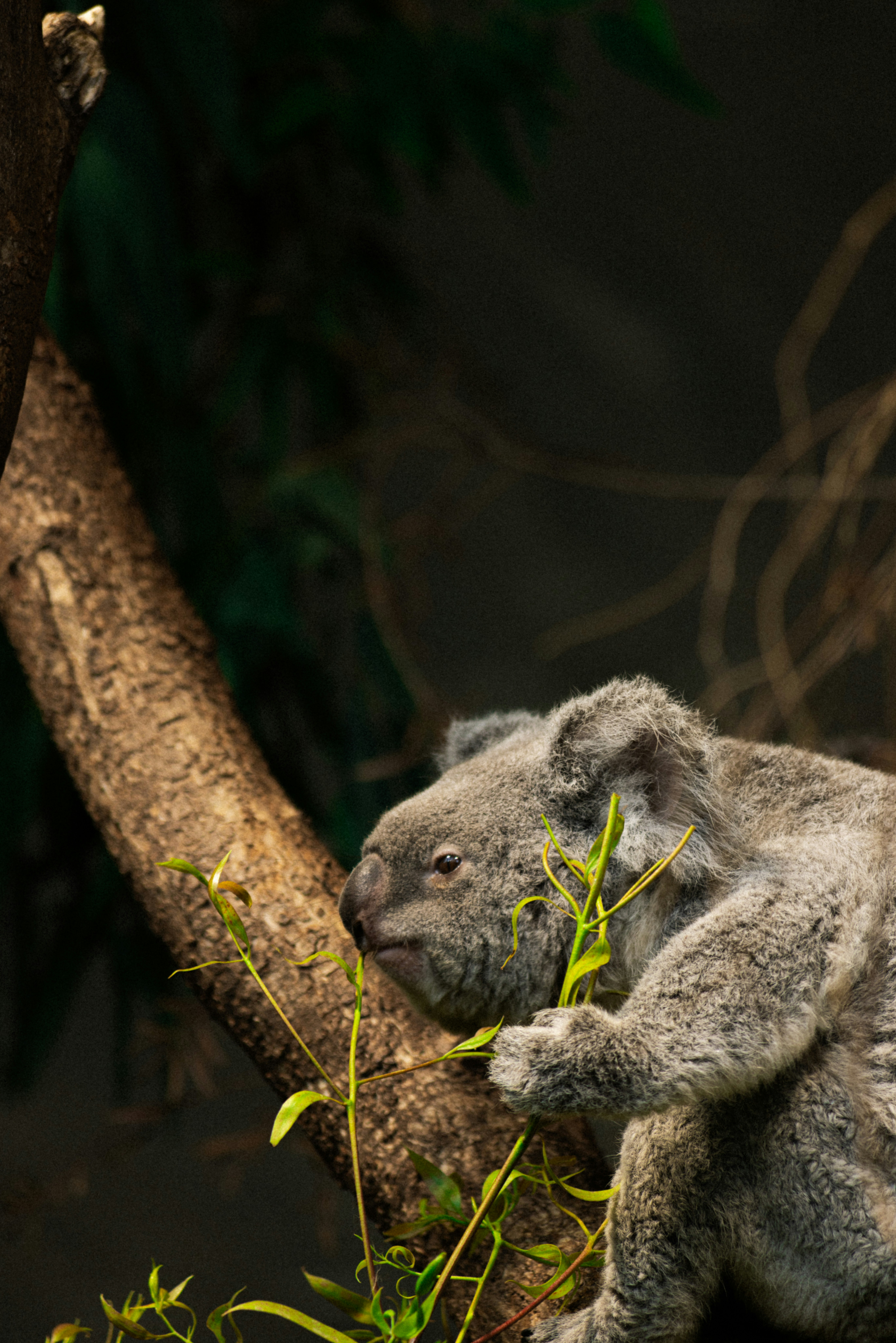 Tim Kuhn (@tiku06) | Unsplashフォトコミュニティ