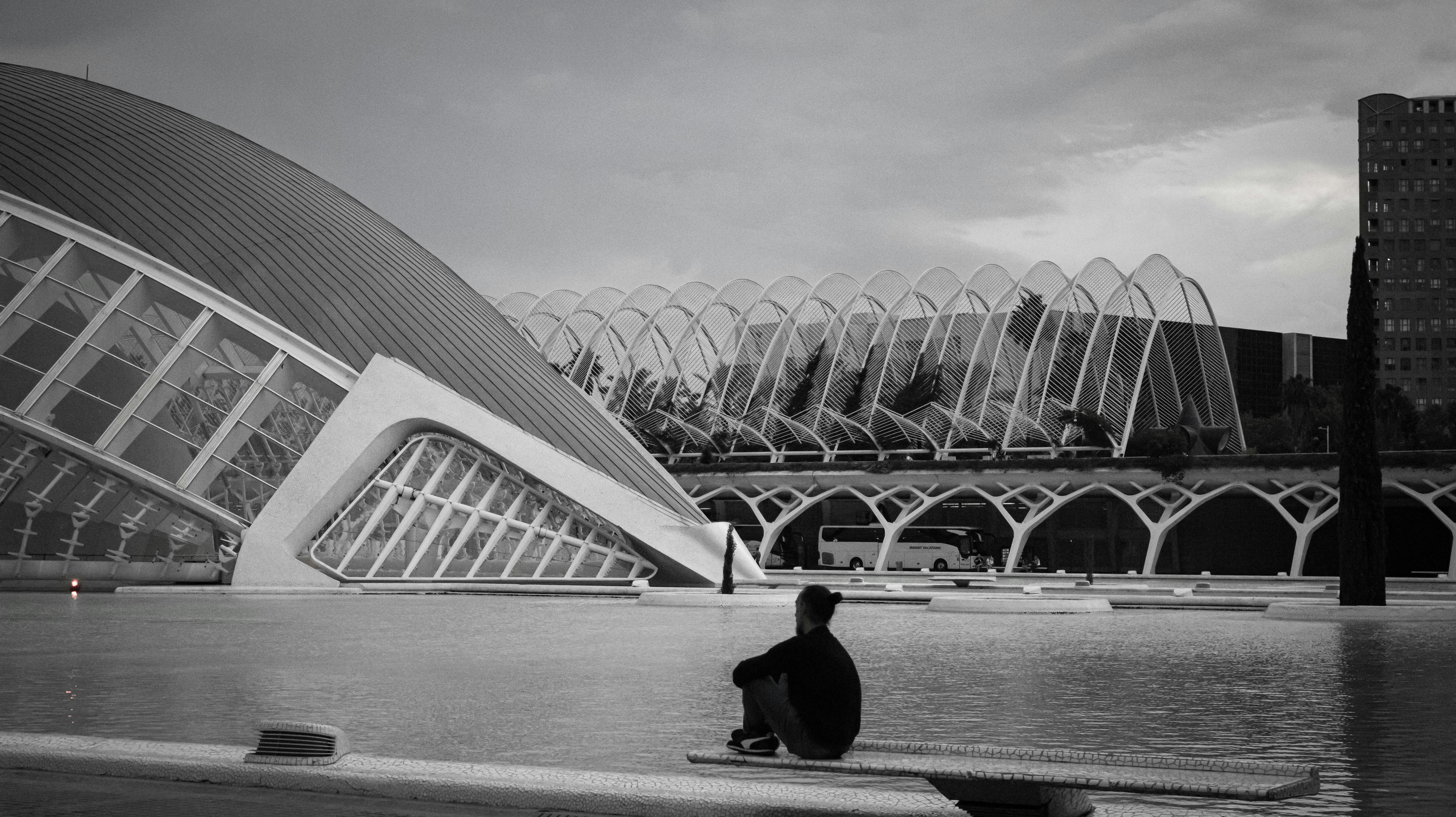 Solitude Beneath Valencia's Glass Arcades