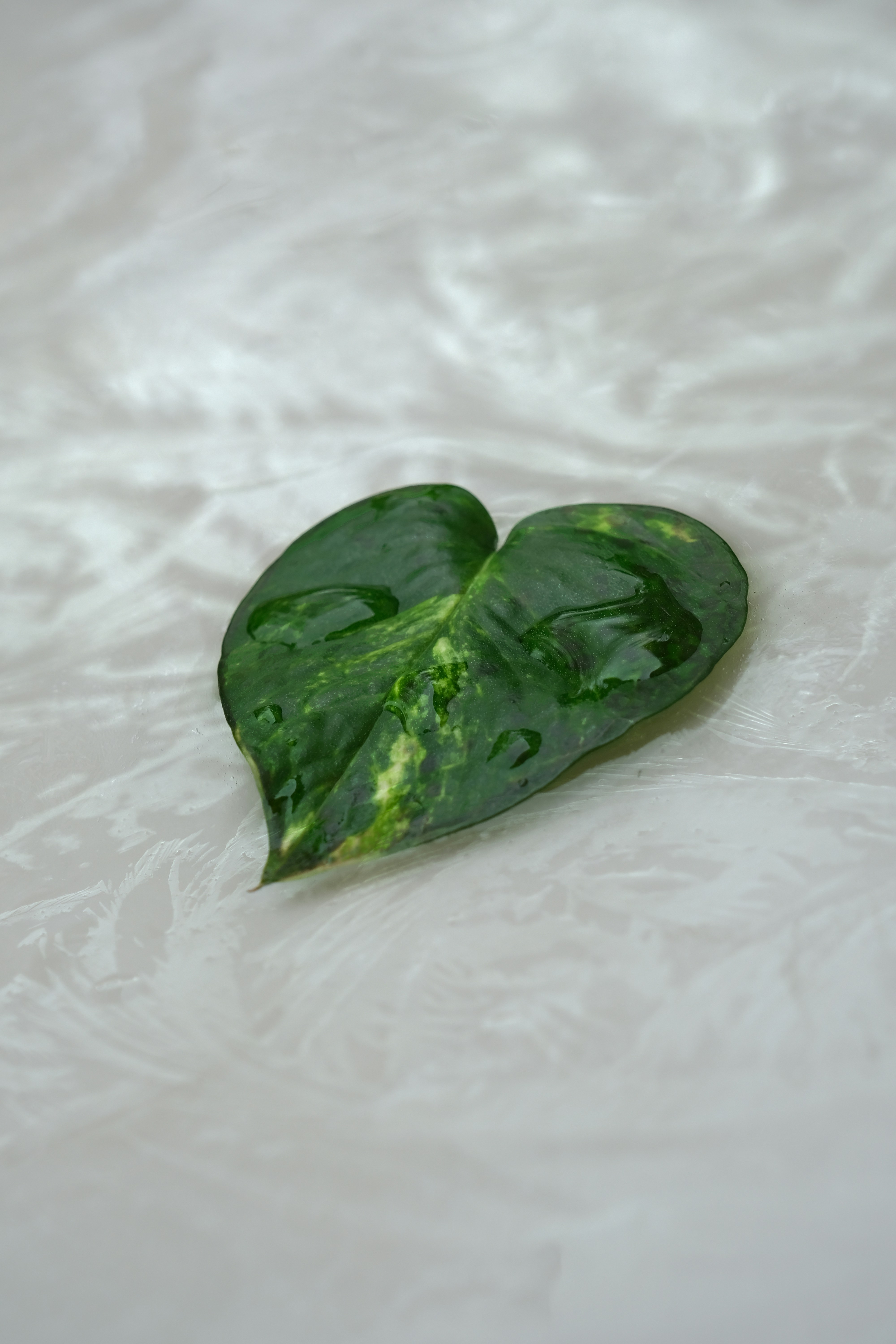 Green Heart on Marble: A Quiet Study in Texture and Light