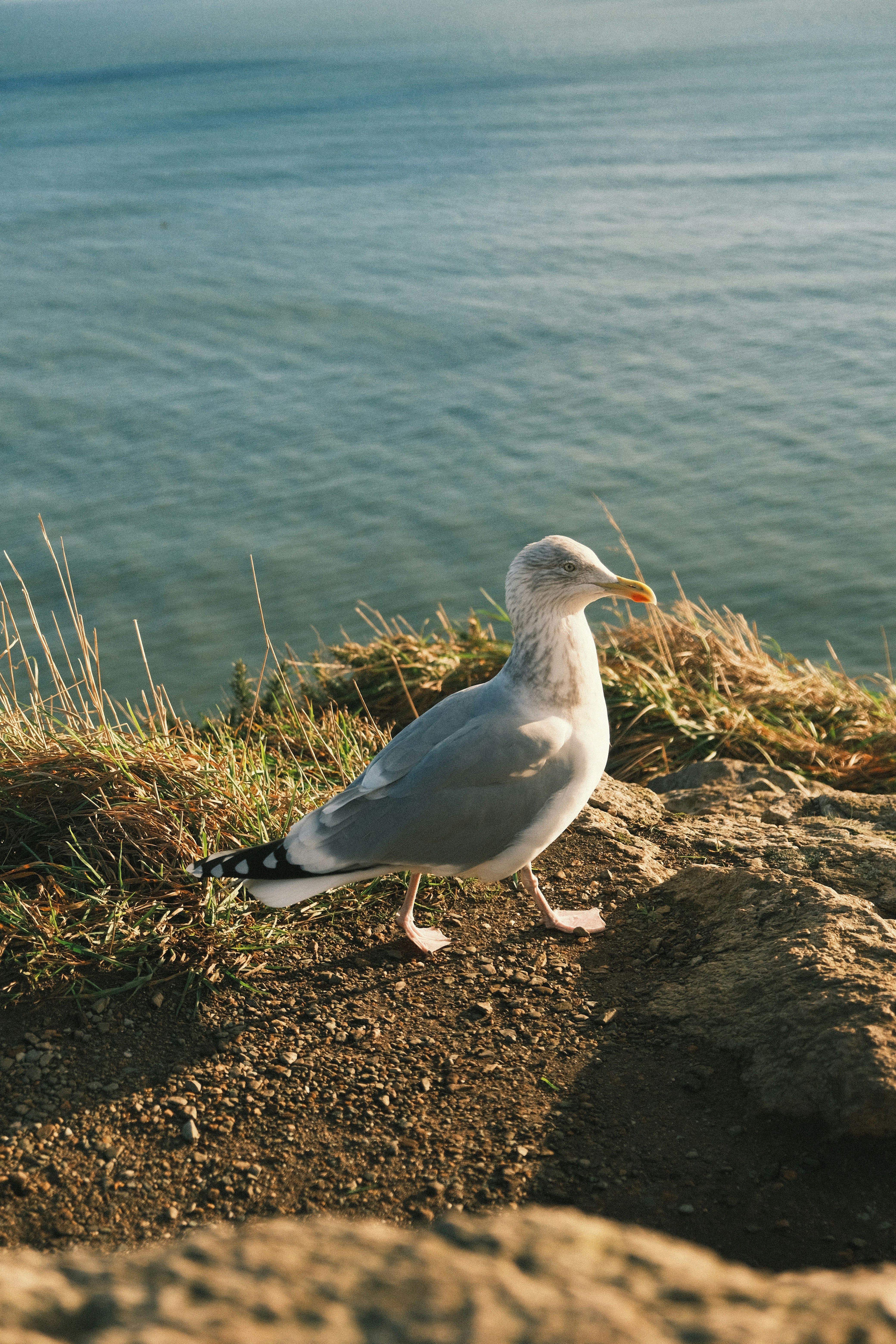 Photo by nikko osaka with Fujifilm X-T30 II