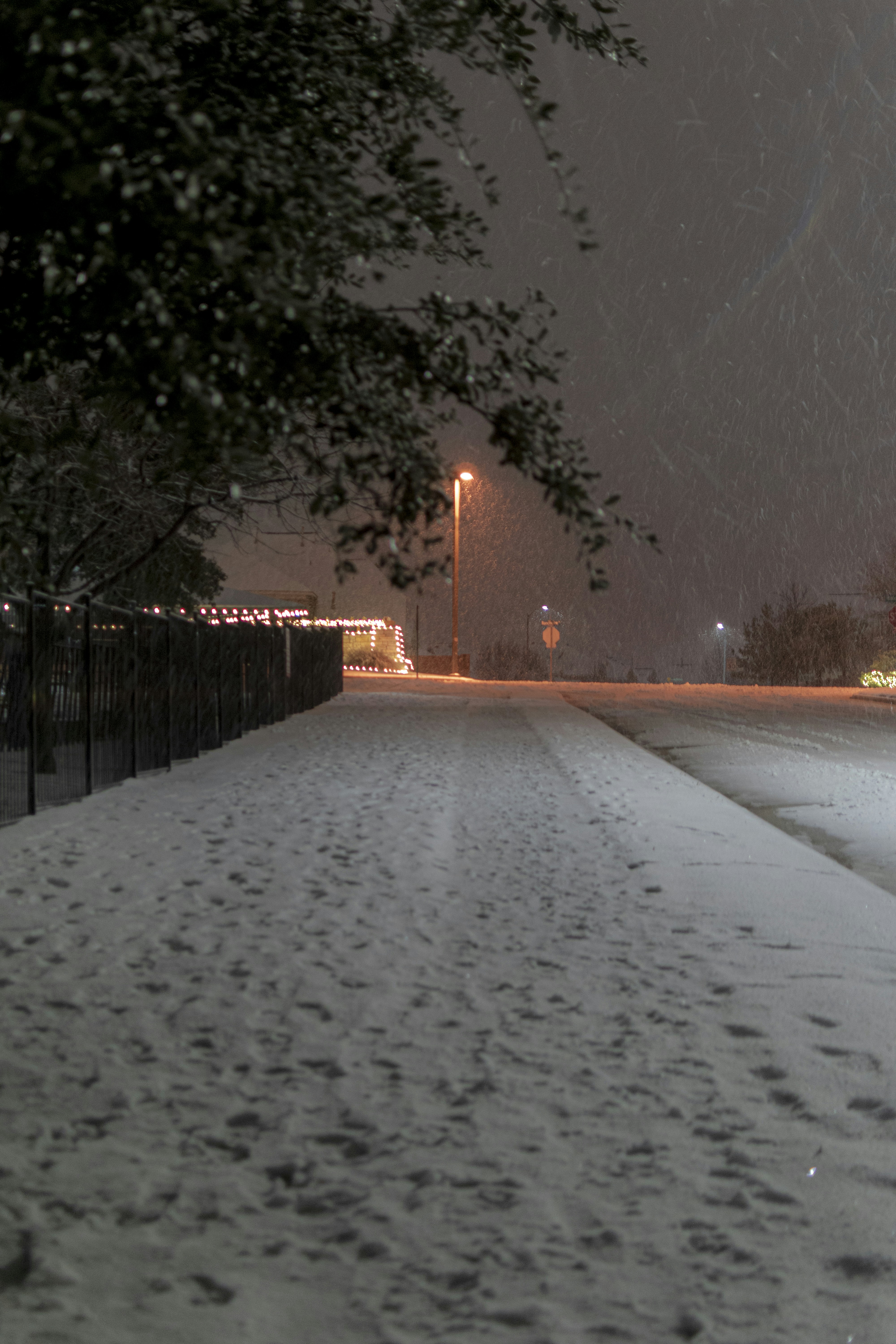 Snowlit Path Under Falling Night Snow