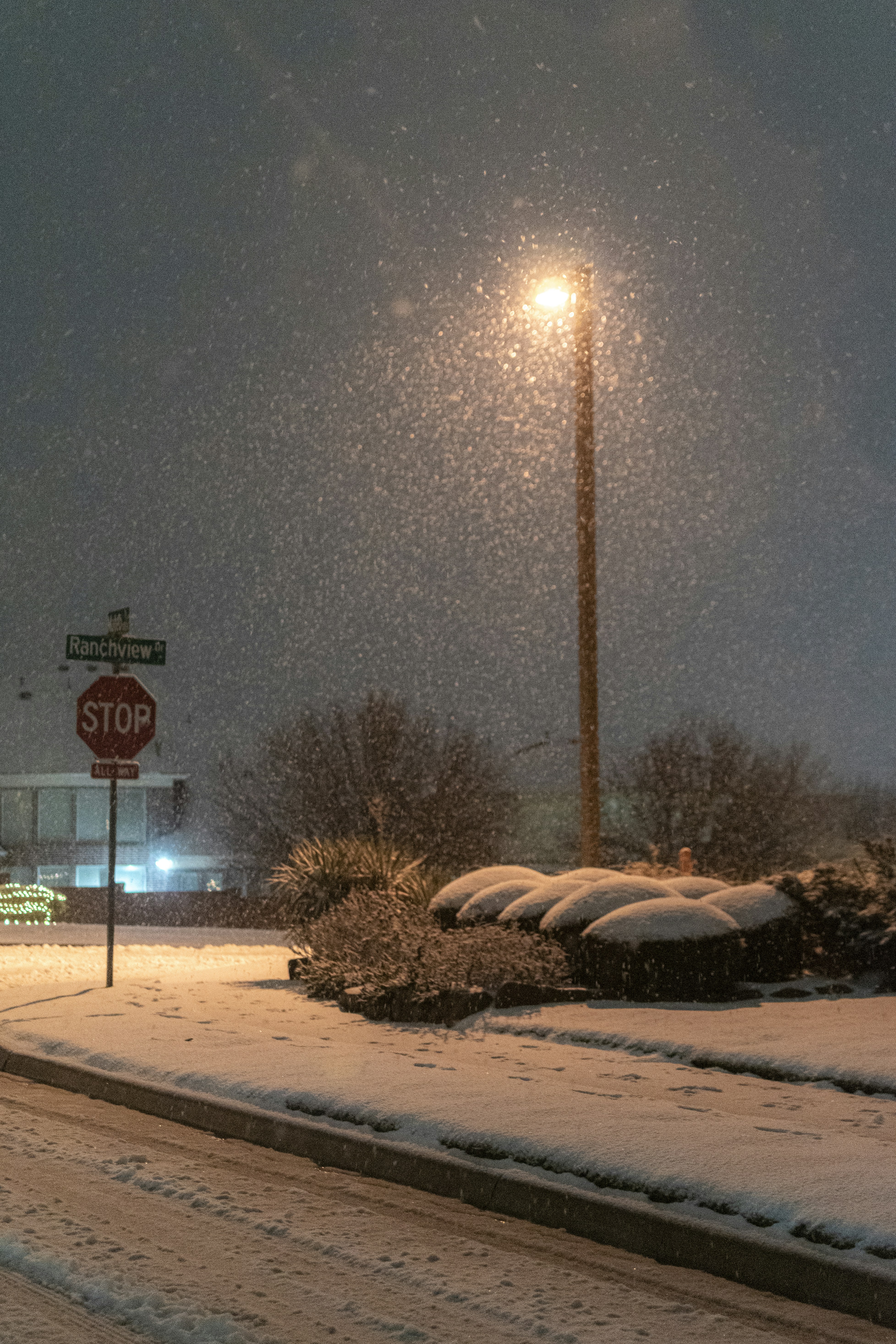 A stop sign on a snowy street at night photo – Free Snow Image on Unsplash