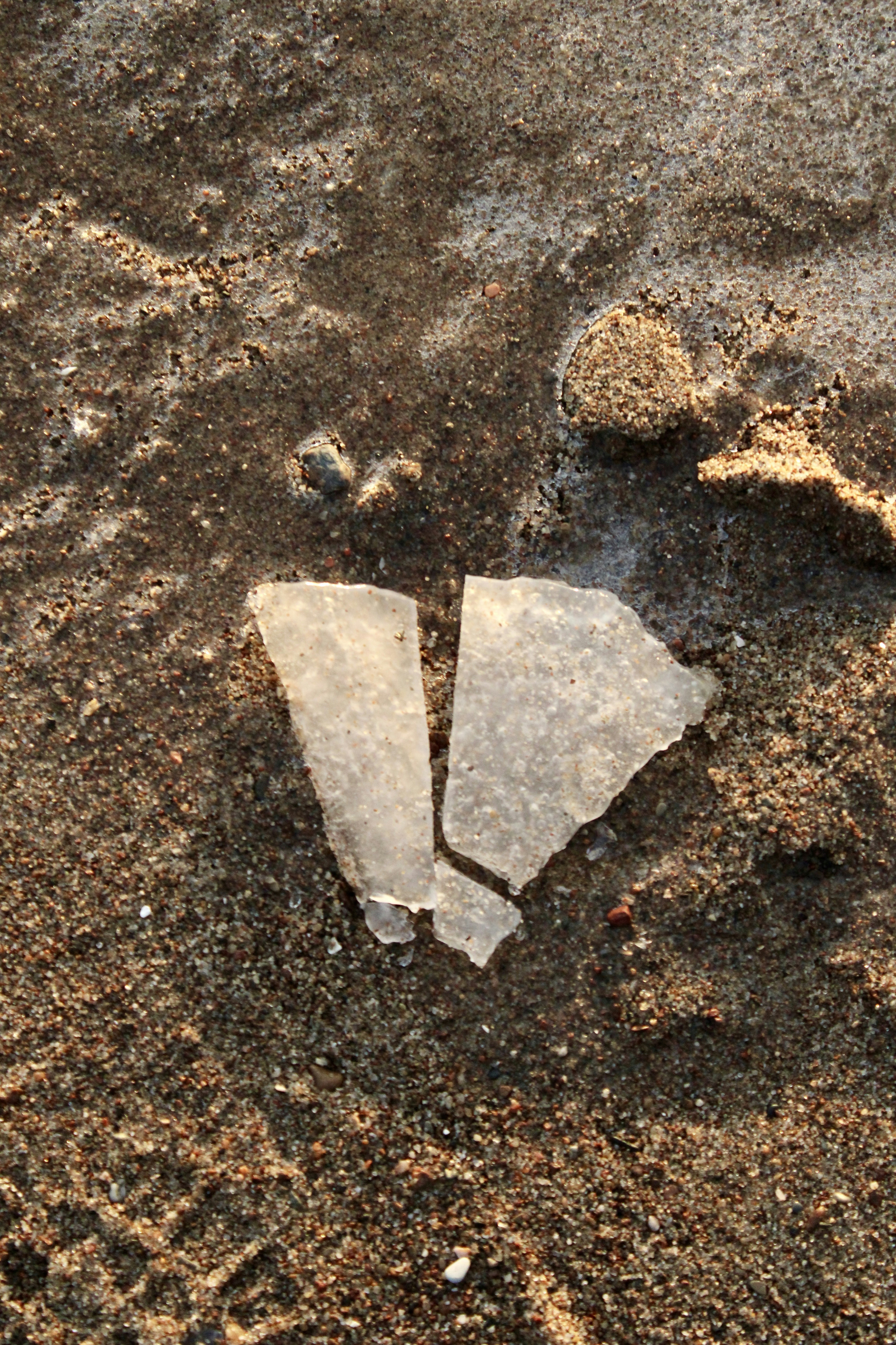 Shattered Shards of Beach Glass Stand Guard in Coastal Sand