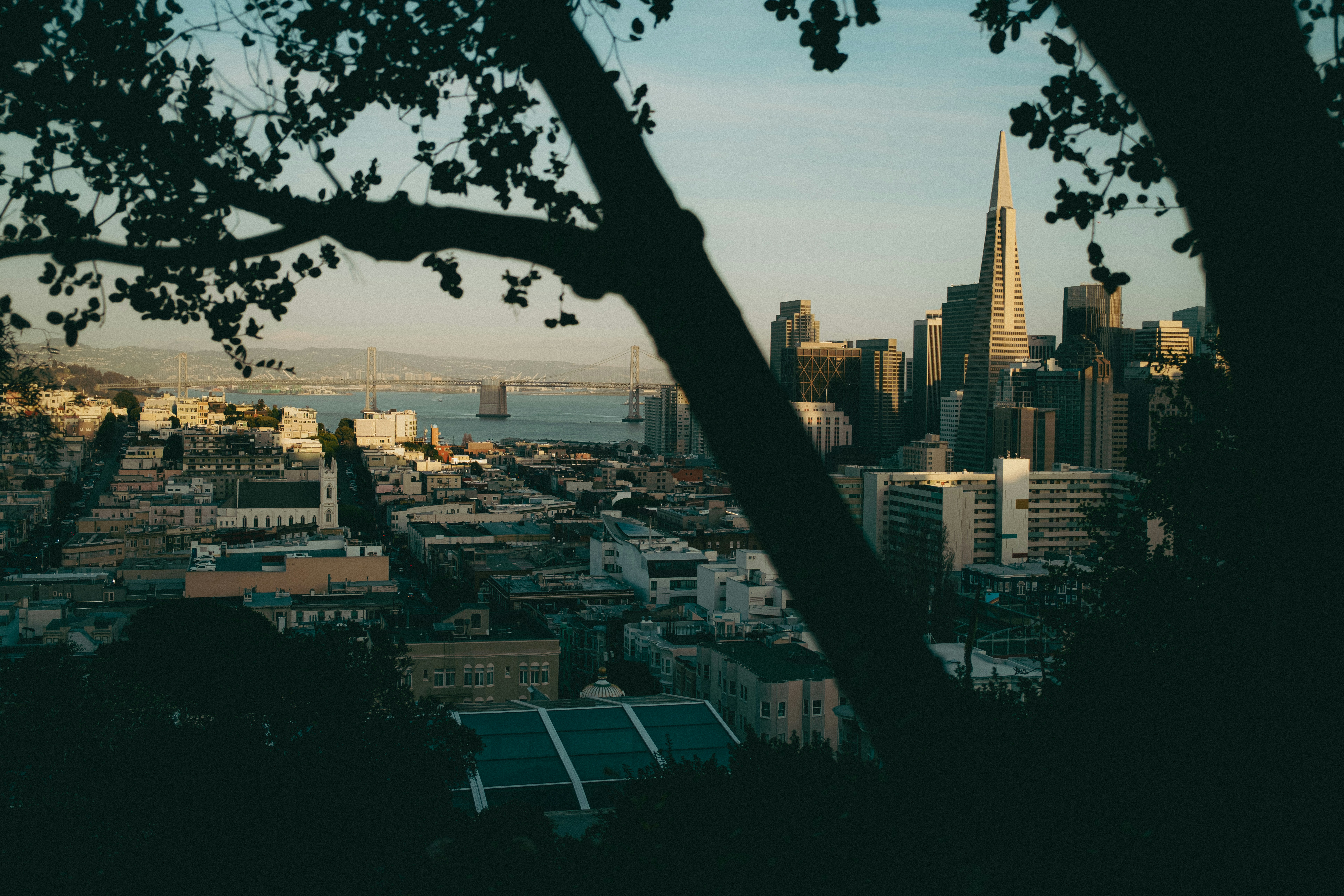A view of a city from a hill photo – Free Wallpaper Image on Unsplash