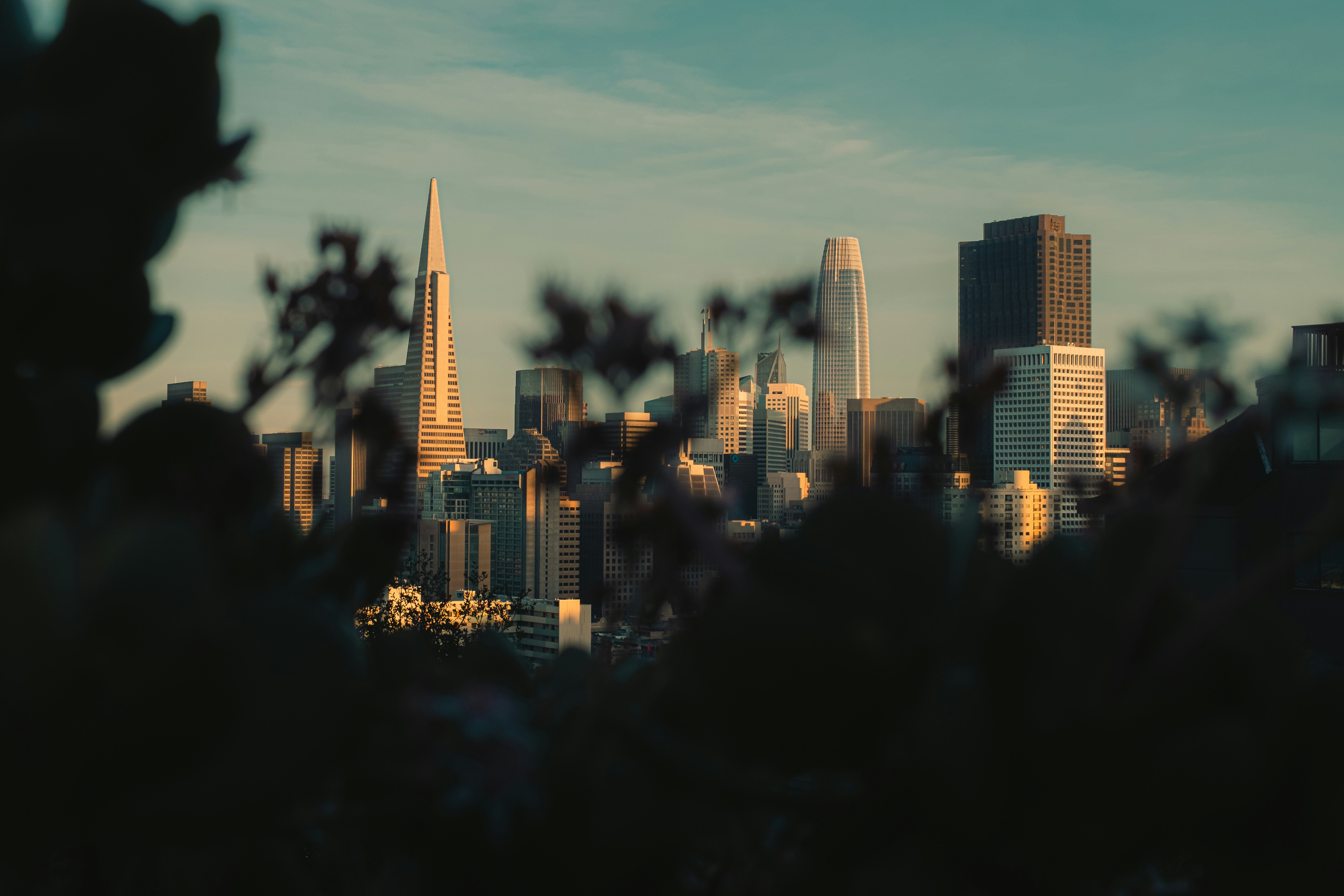 A view of a city from a distance photo – Free San francisco Image on ...