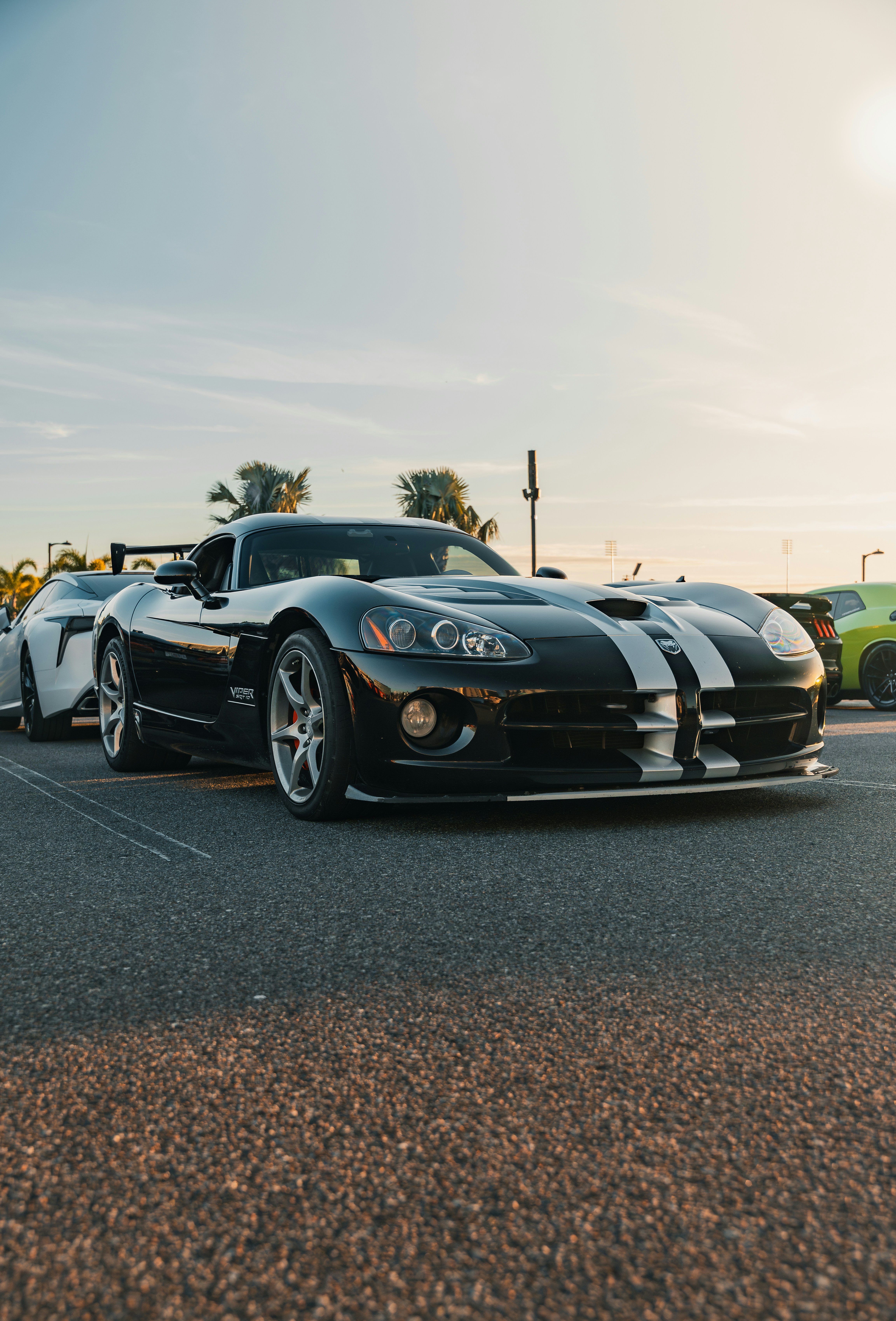 Viper at Sunset: Stripes and Steel in a Parking Lot