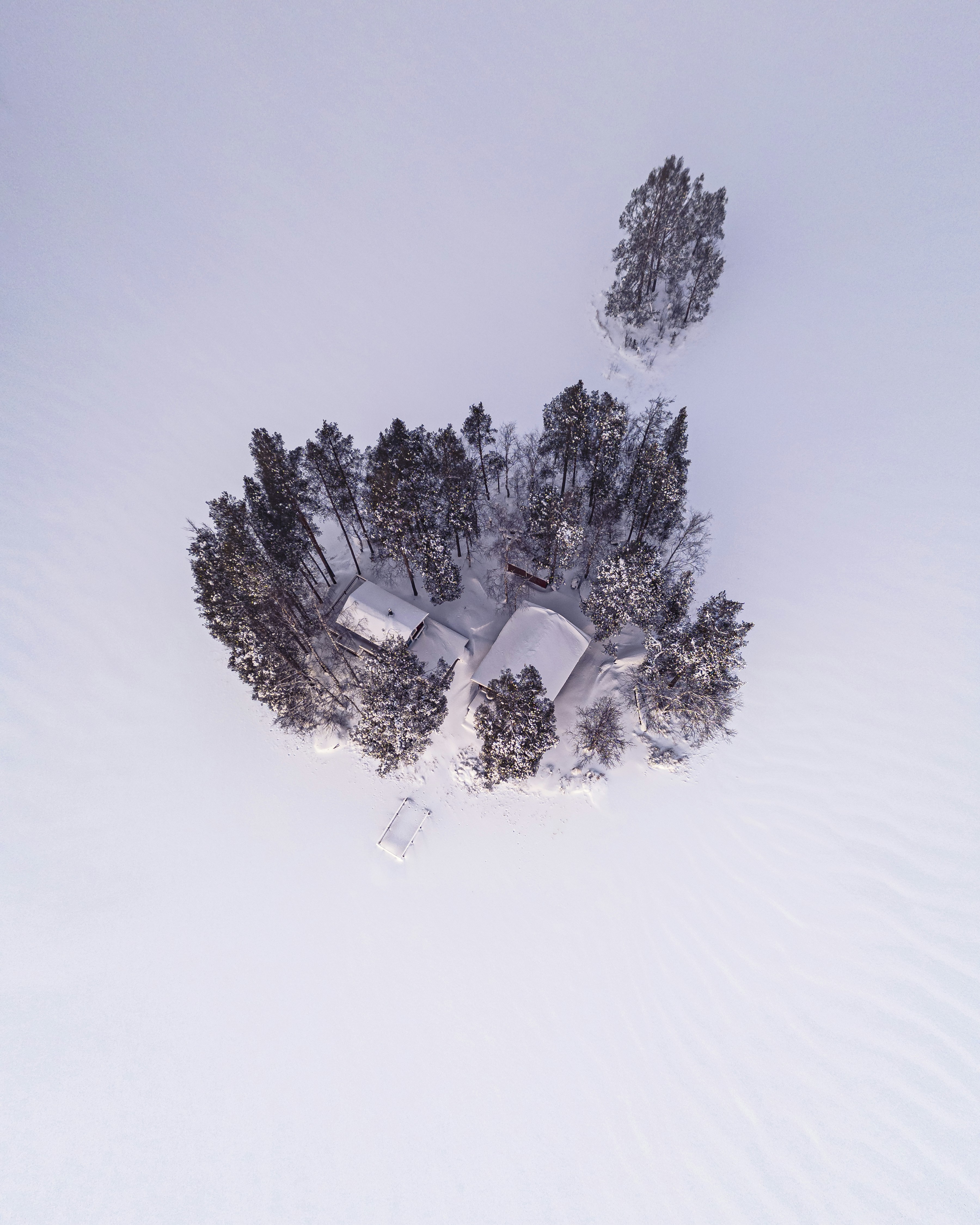 An aerial view of a snow covered forest photo – Free Forest Image on ...