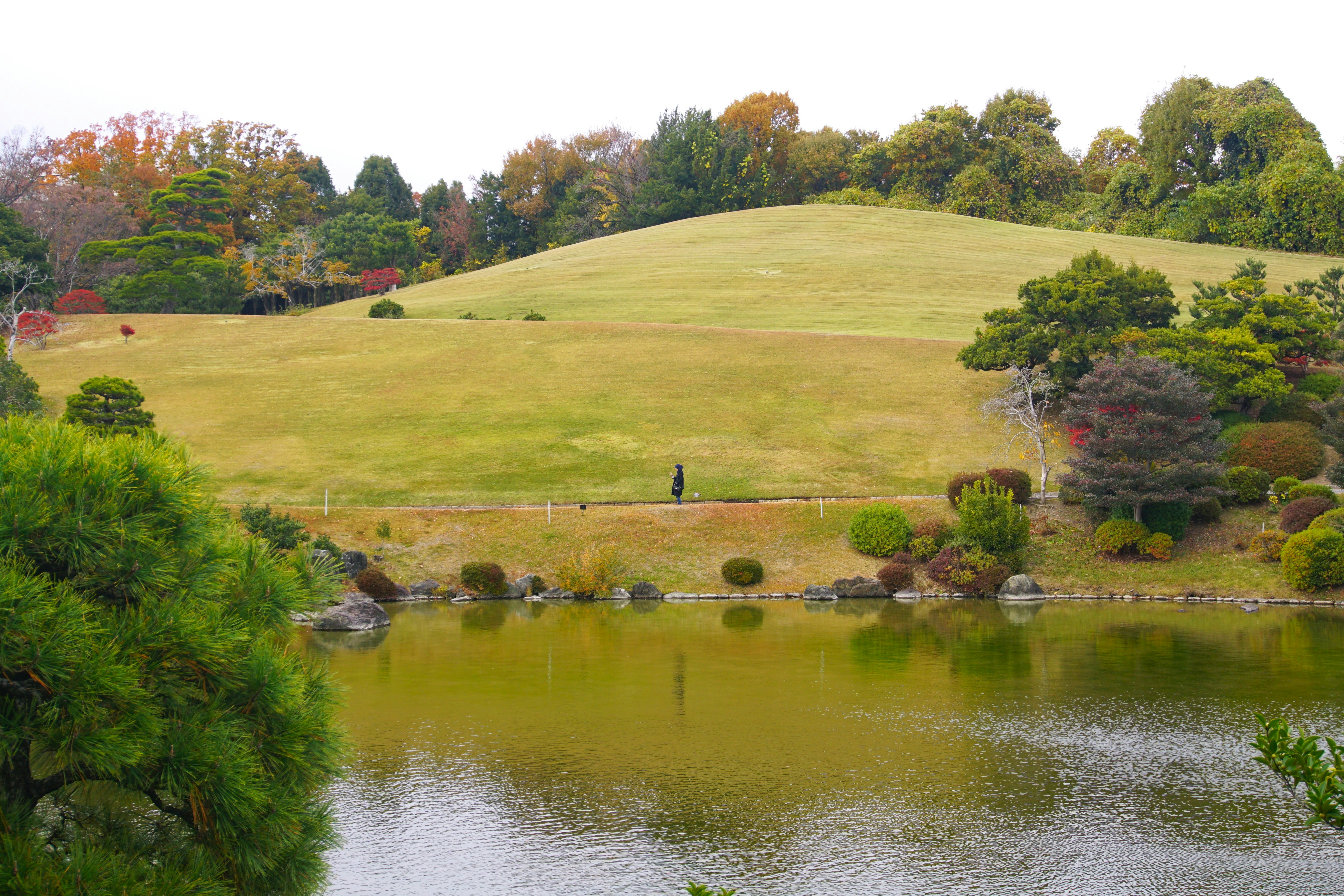 Person walking along a path in a serene park with rolling hills and a reflective pond, surrounded by colorful autumn foliage.