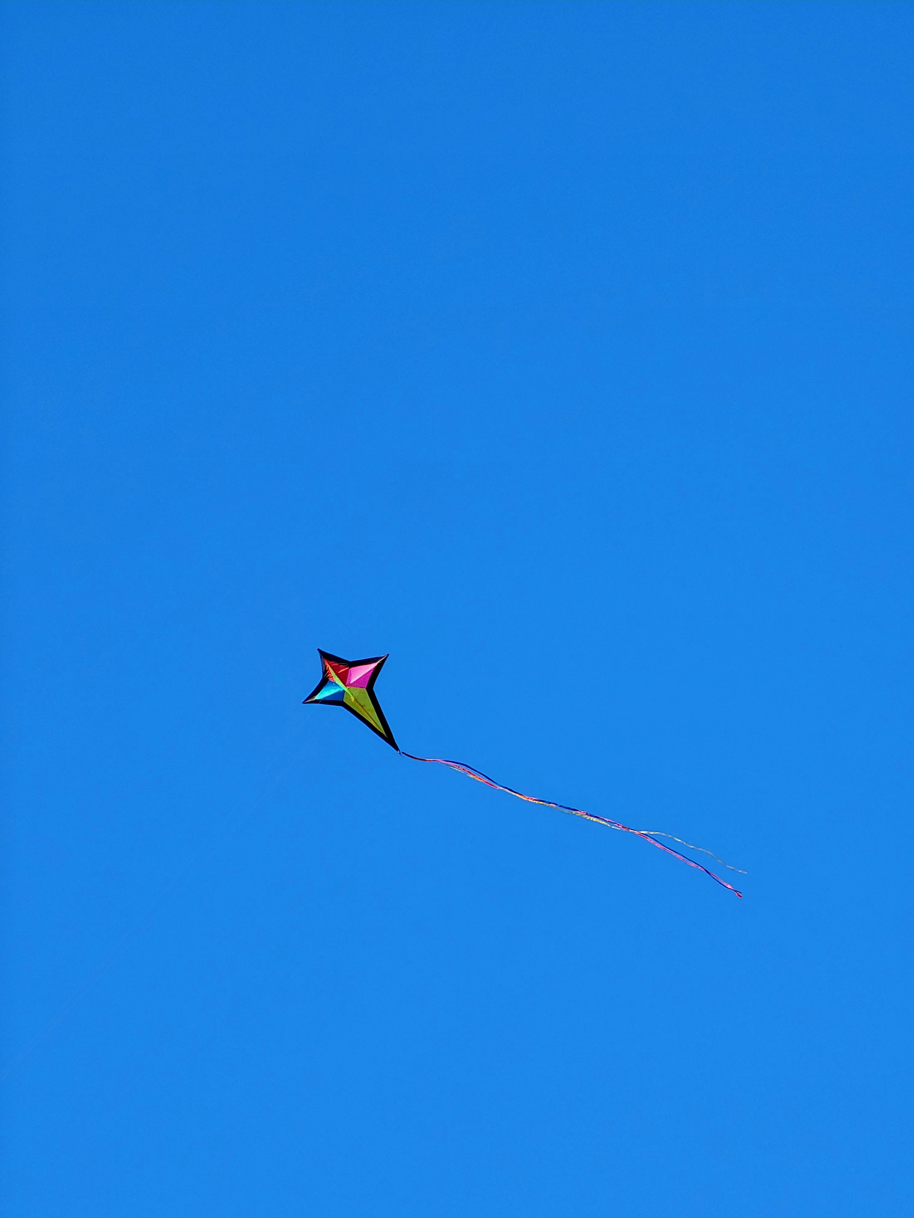 A kite flying high in the blue sky photo – Free Animal Image on Unsplash