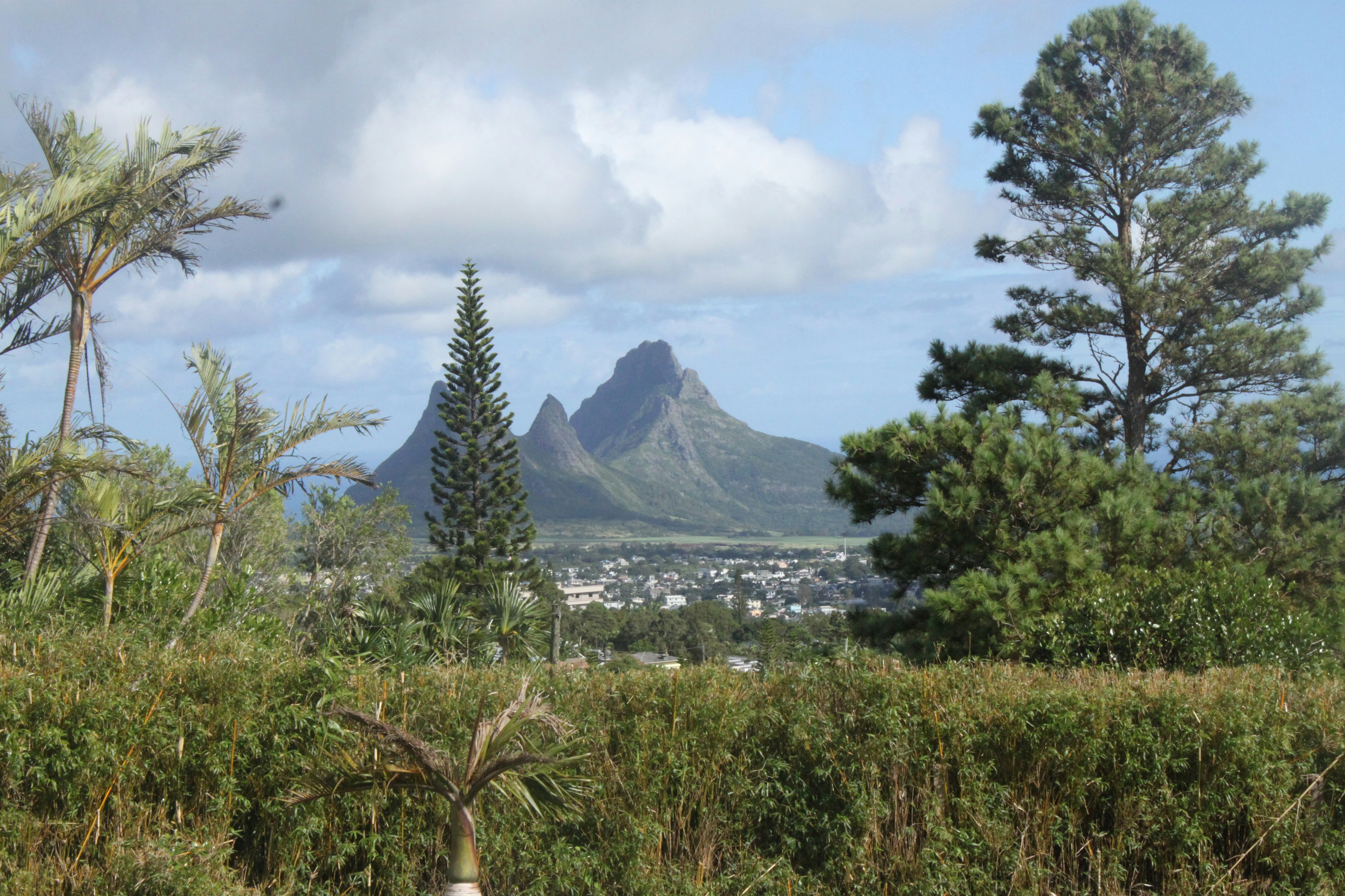 Veduta di un vulcano a Mauritius, circondato da una rigogliosa vegetazione tropicale. Il paesaggio esotico offre una combinazione perfetta tra natura selvaggia e bellezza incontaminata.