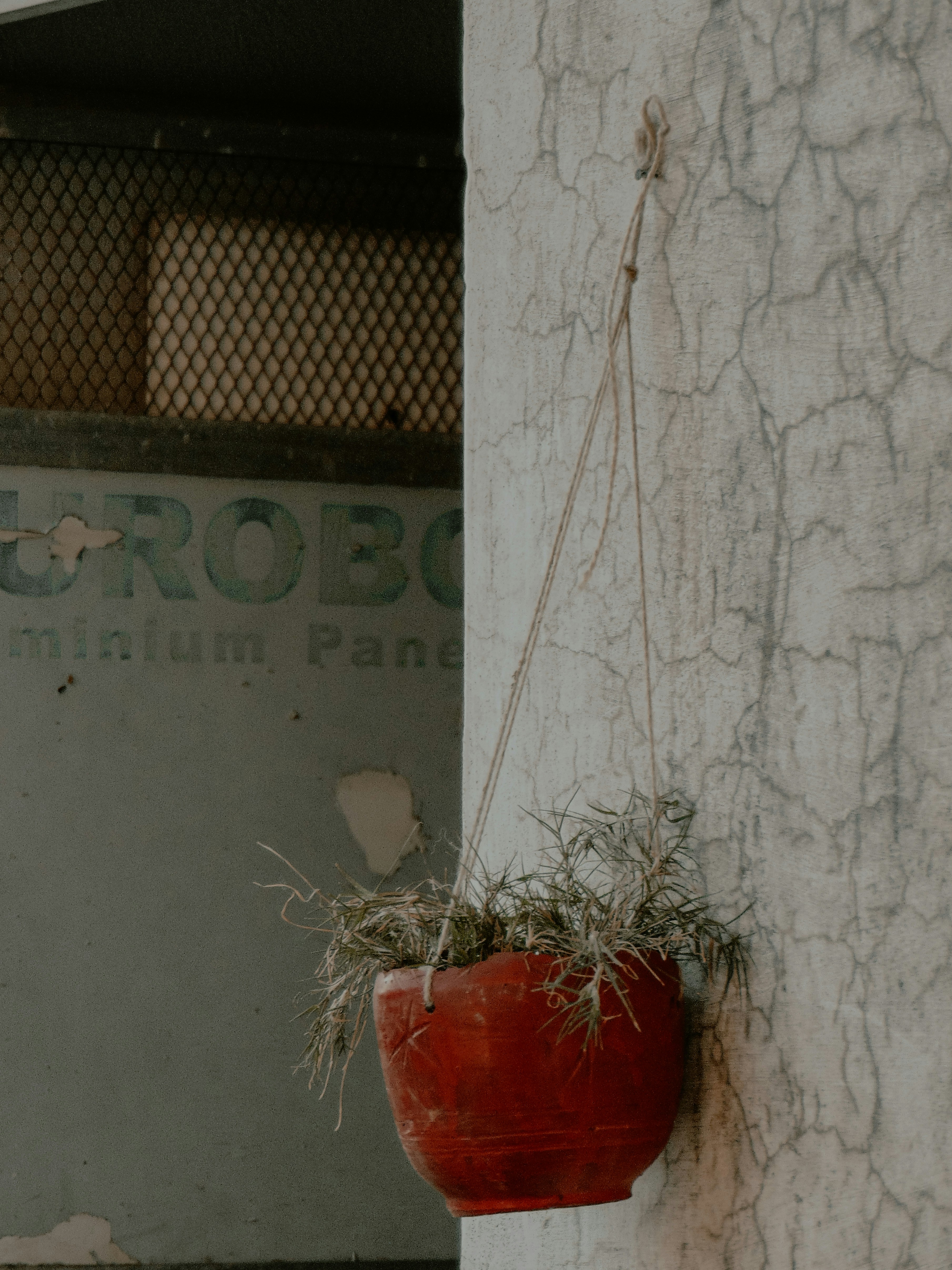 Red hanging planter attached to a cracked plaster wall, with a muted background sign.