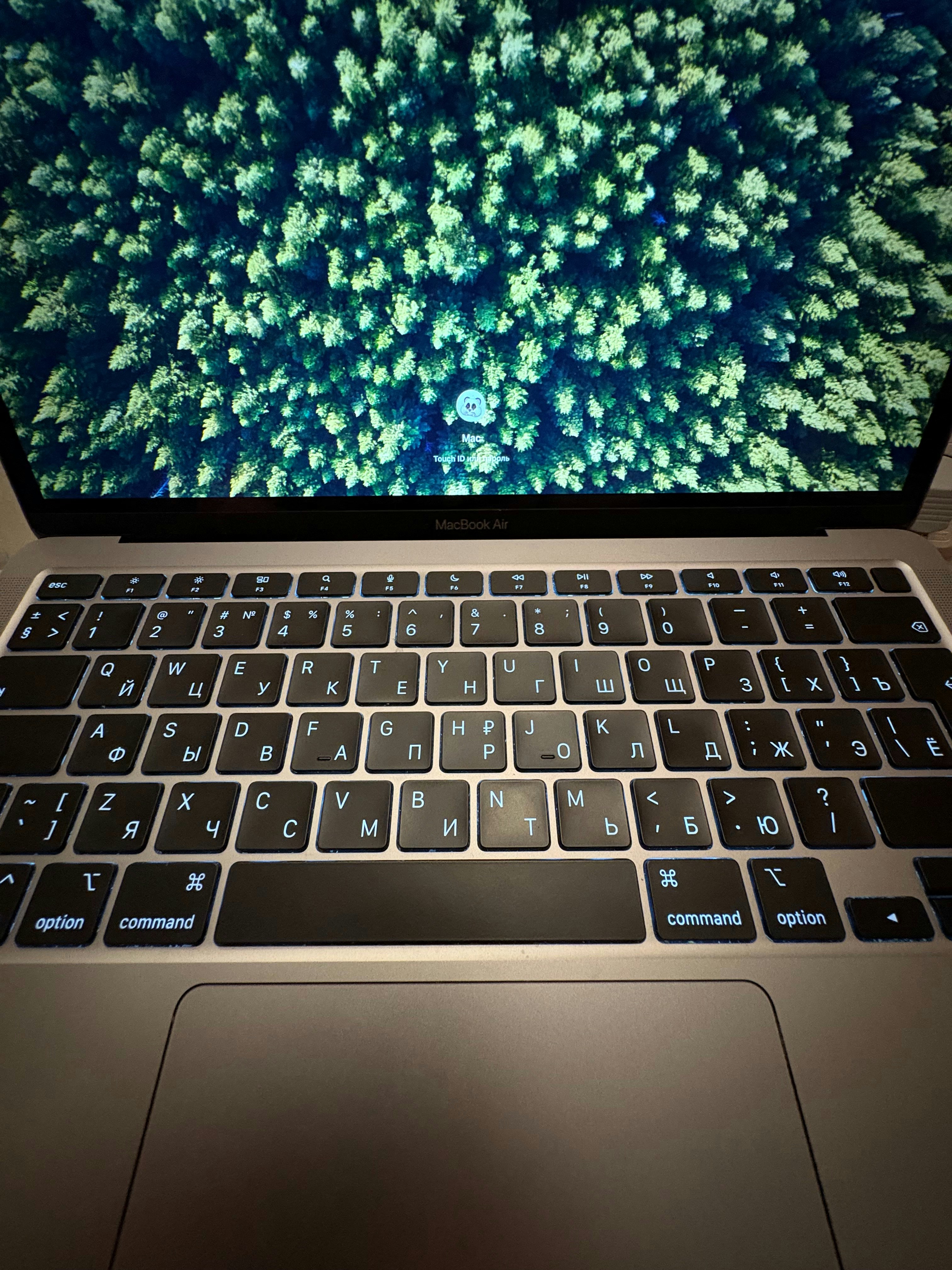Laptop keyboard illuminated with a vibrant forest wallpaper displayed on the screen. The scene blends technology with nature's beauty.