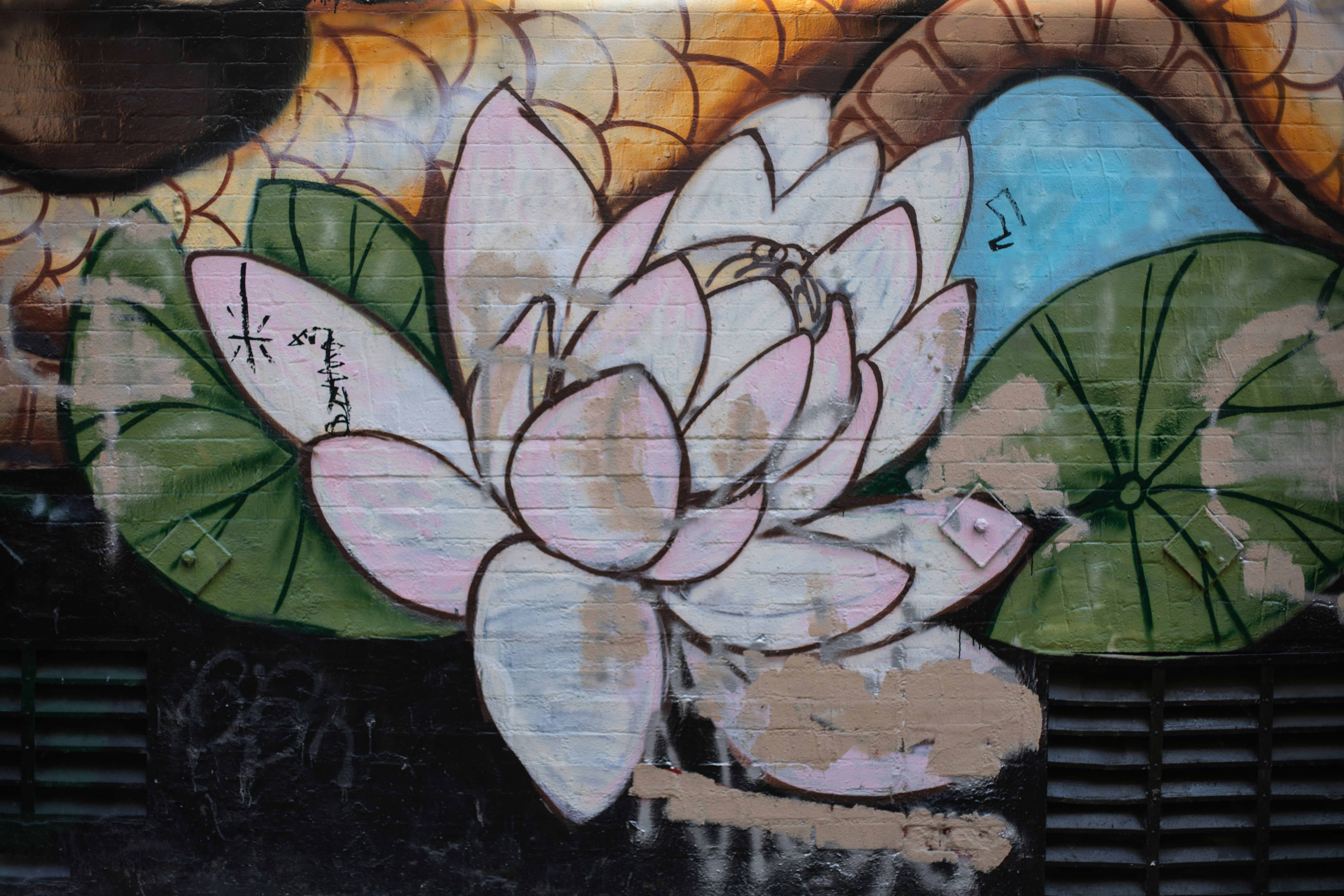 Photo by Sixteen Miles Out with Canon EOS 5D Mark IV