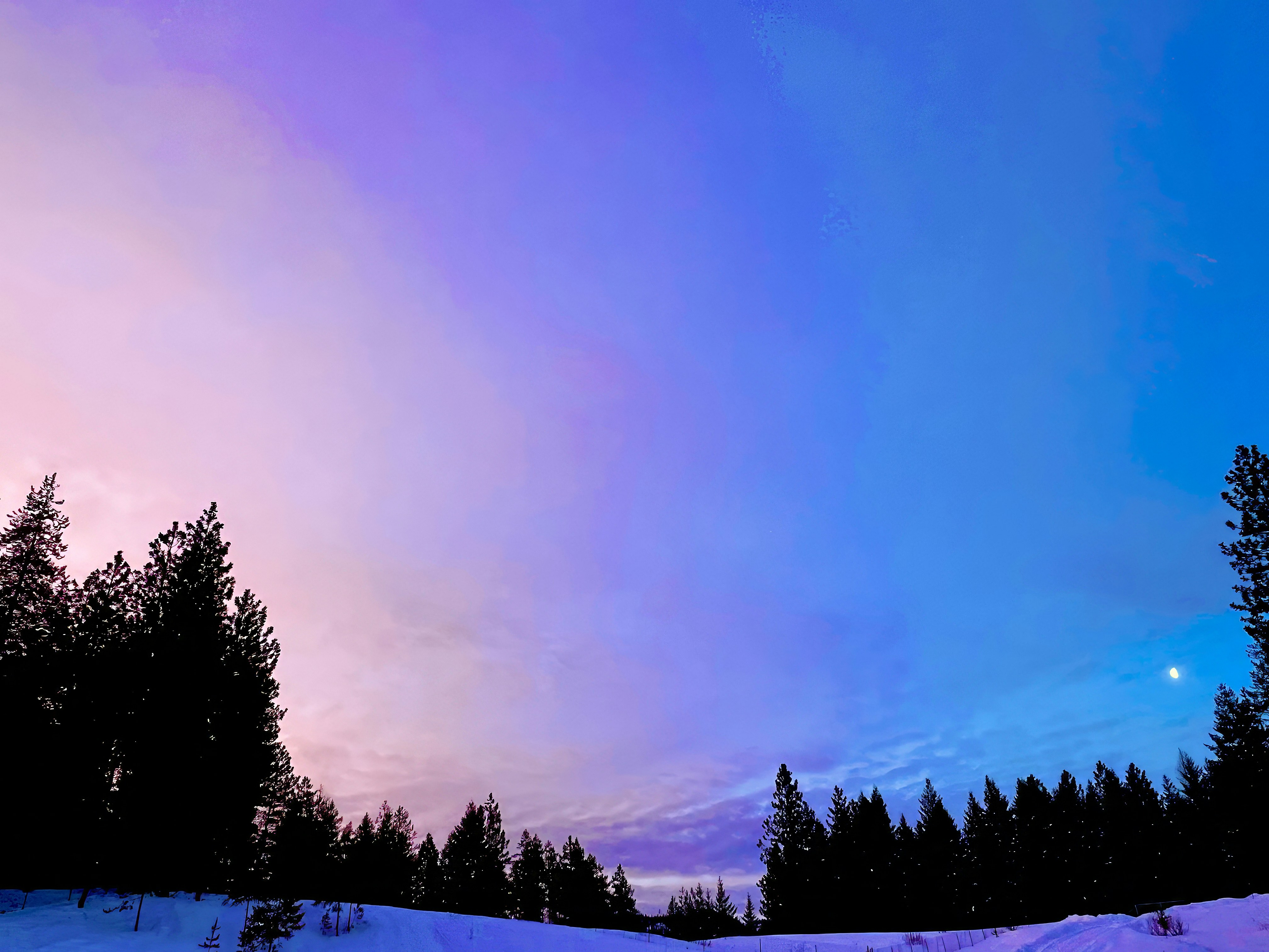 Twilight Ridge: A Velvet Sky Over Snow-Dusted Pines
