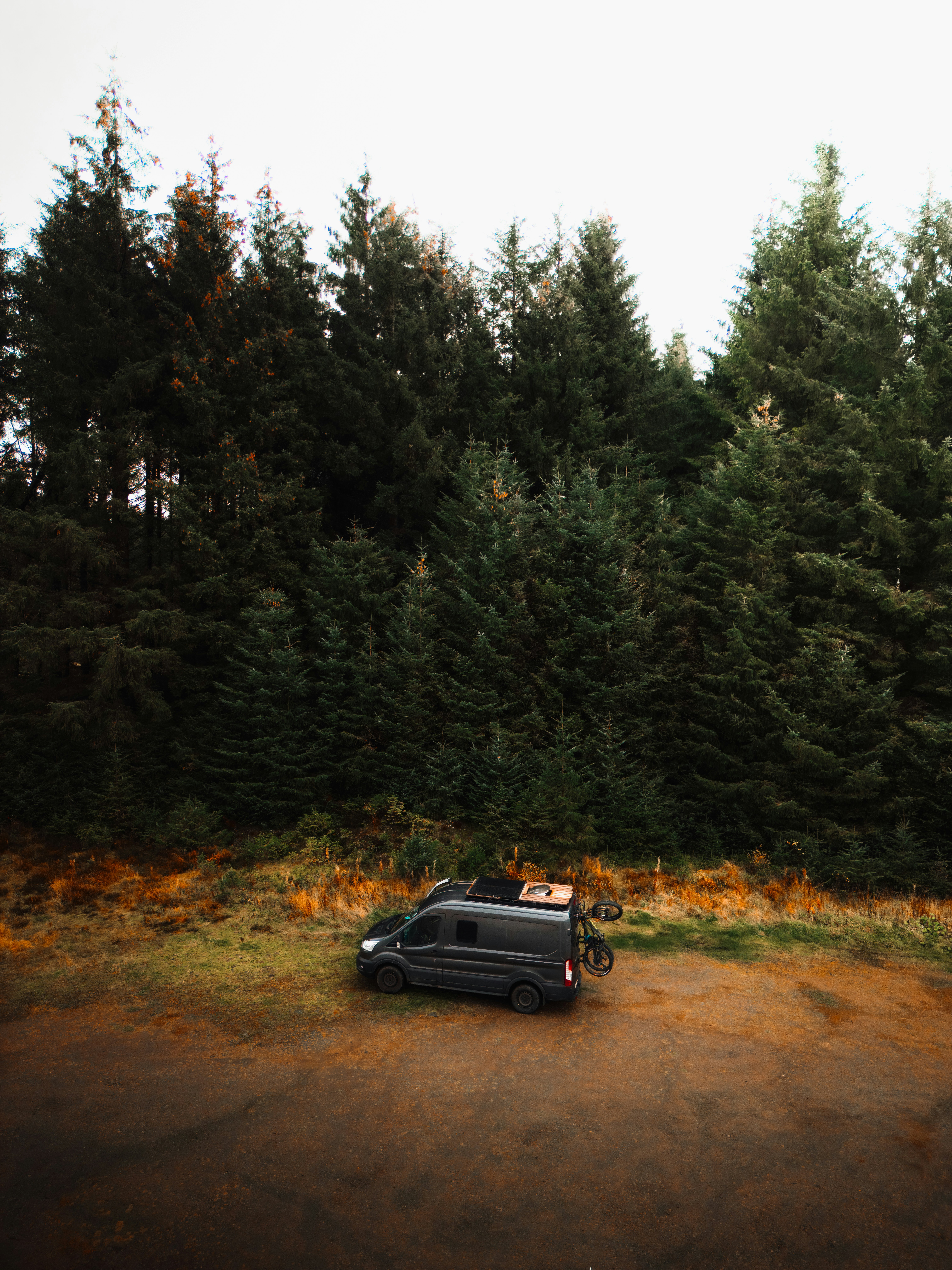 Black van parked beside a dense forest of towering pine trees under an overcast sky.