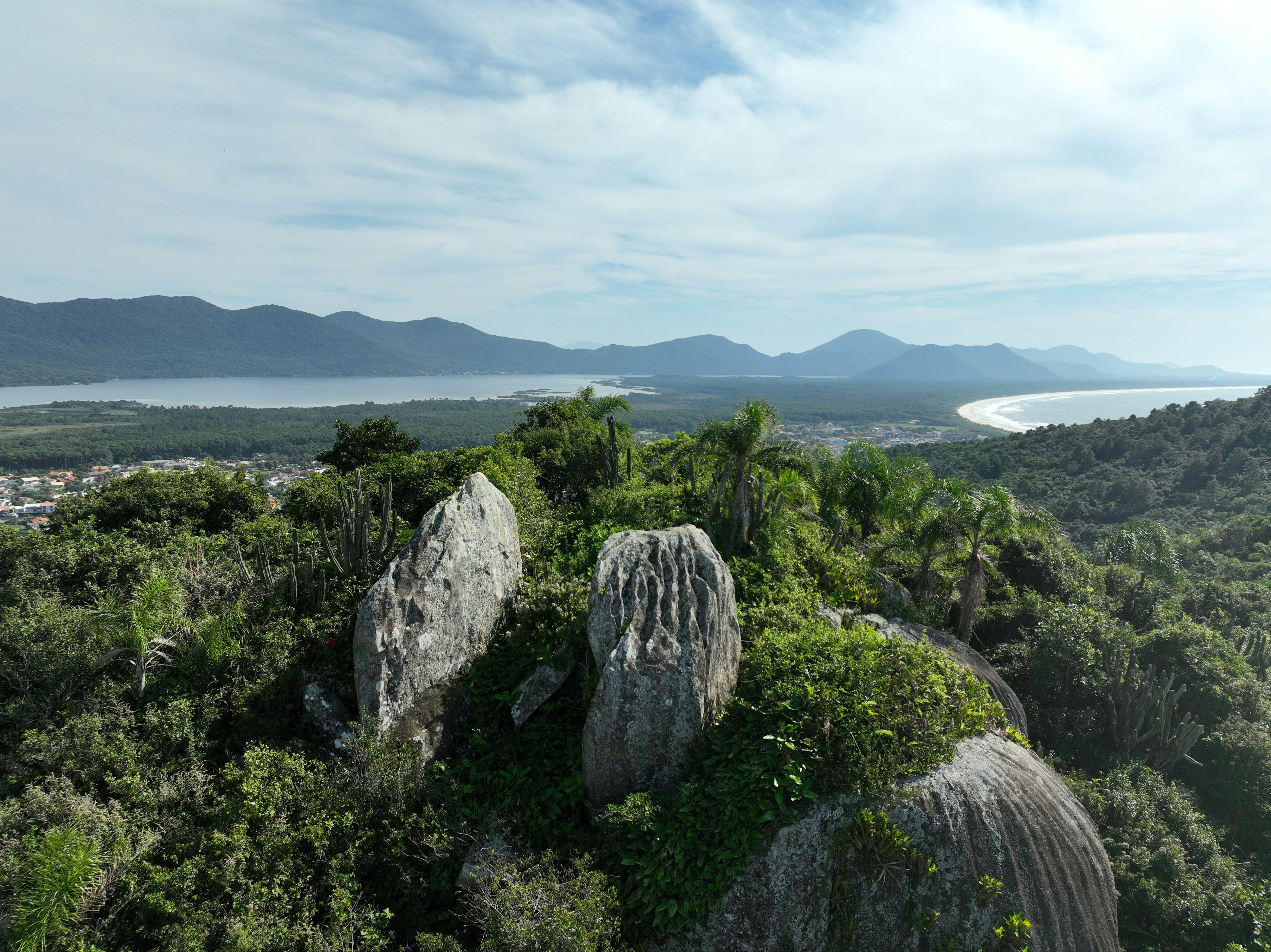 Florianopolis Trilha da oração | An aerial view of a lush green forest