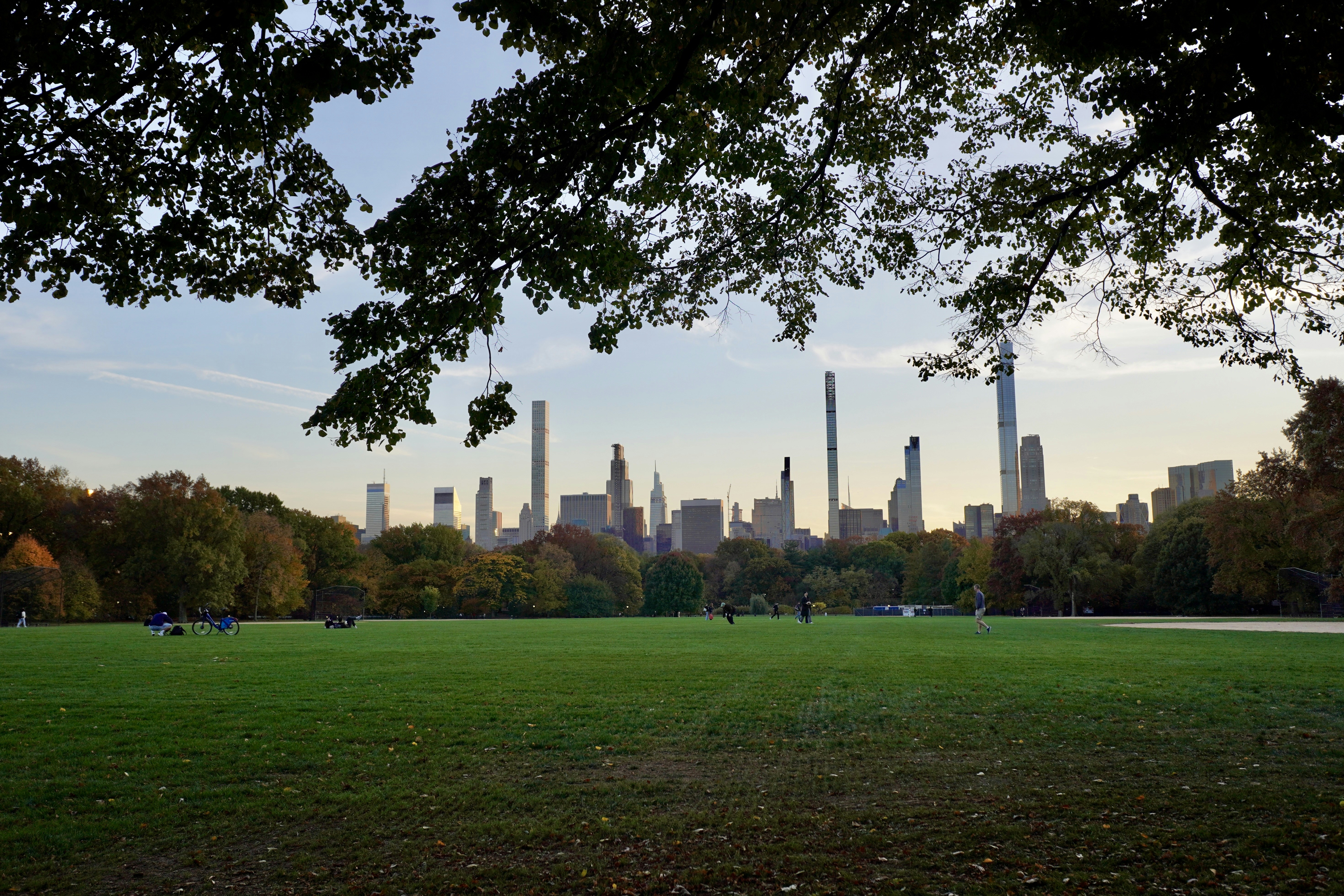 Central Park’s Sheep Meadow at sunset with Manhattan's skyline framed by tree branches. Skyscrapers reflect soft golden light as people relax on the expansive lawn.